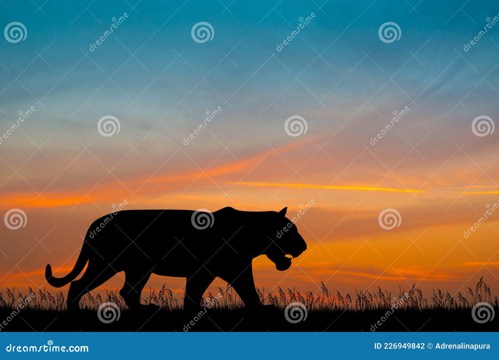 Illustration of Tiger Silhouette at Sunset Stock Illustration ...