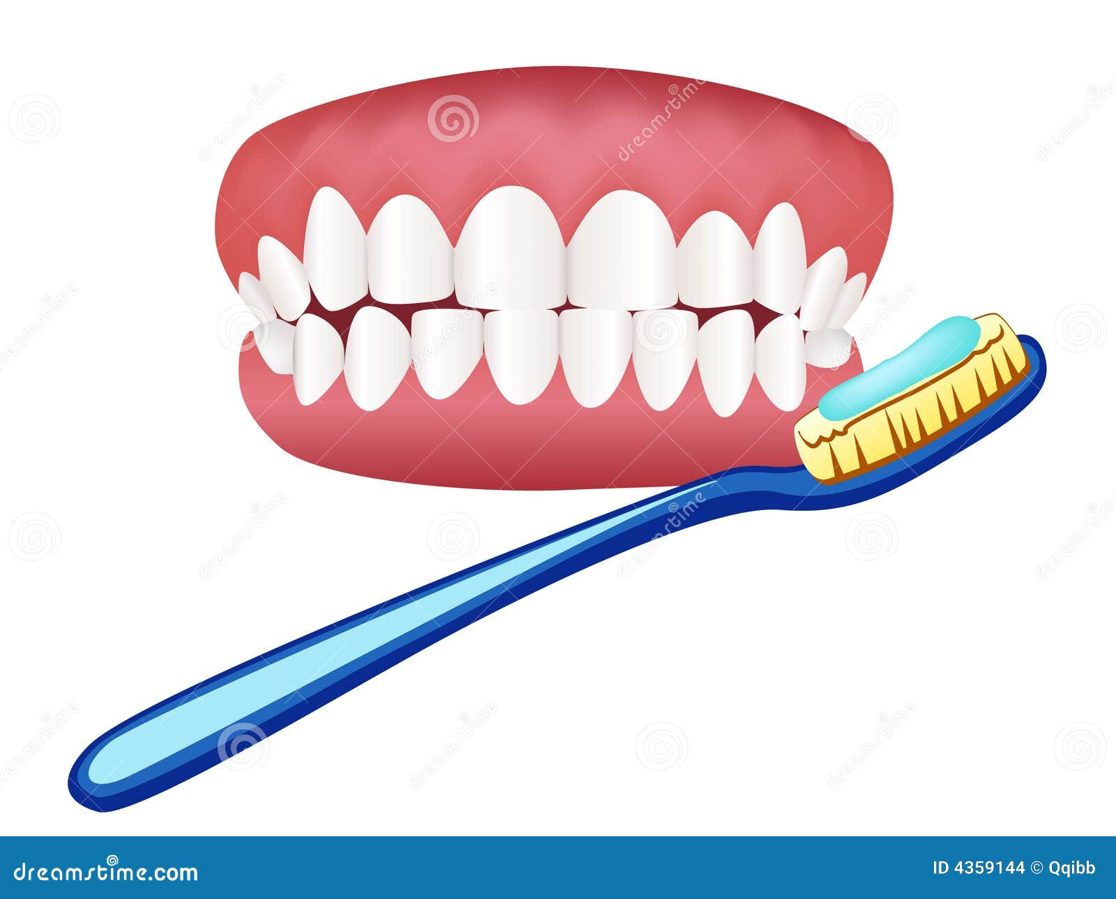 Tooth 3D Model With Plaque, Virus, Germs, Fungi, Bacteria. Stain Dirt ...