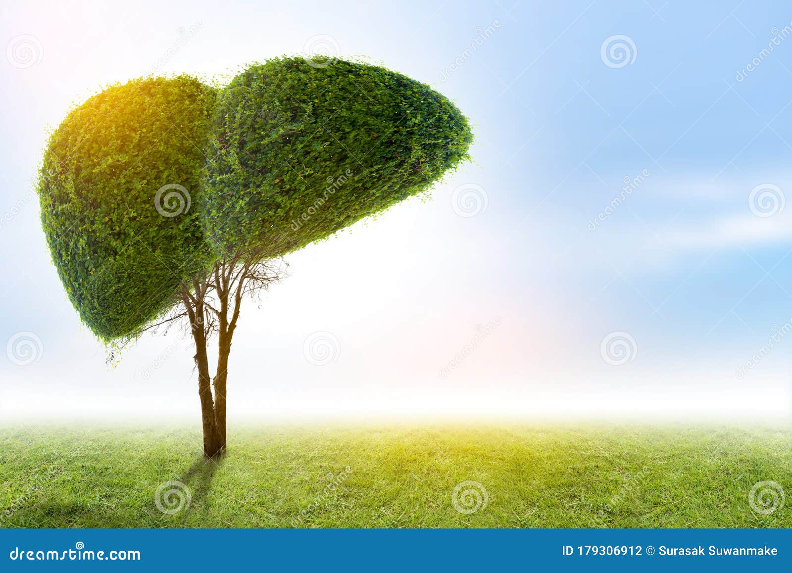 Illustration of a Tree in the Shape of a Liver Environment and Medicine ...