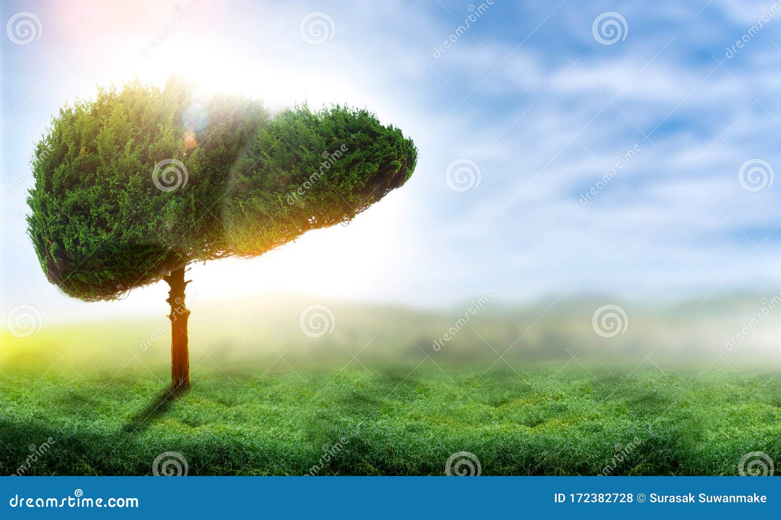 Illustration of a Tree in the Shape of a Liver Environment and Medicine ...