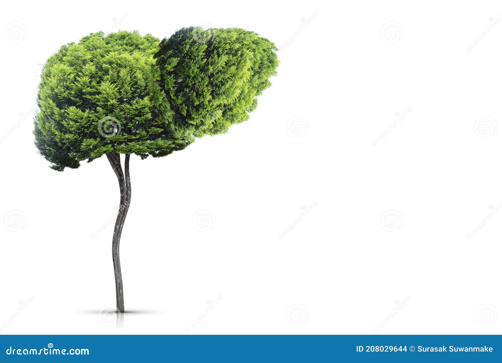 Illustration of a Tree in the Shape of a Liver Environment and Medicine ...