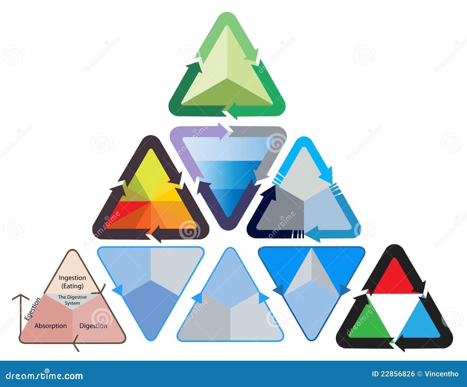 Illustration Triangulaire De Tableau D'organigramme De Triangle ...
