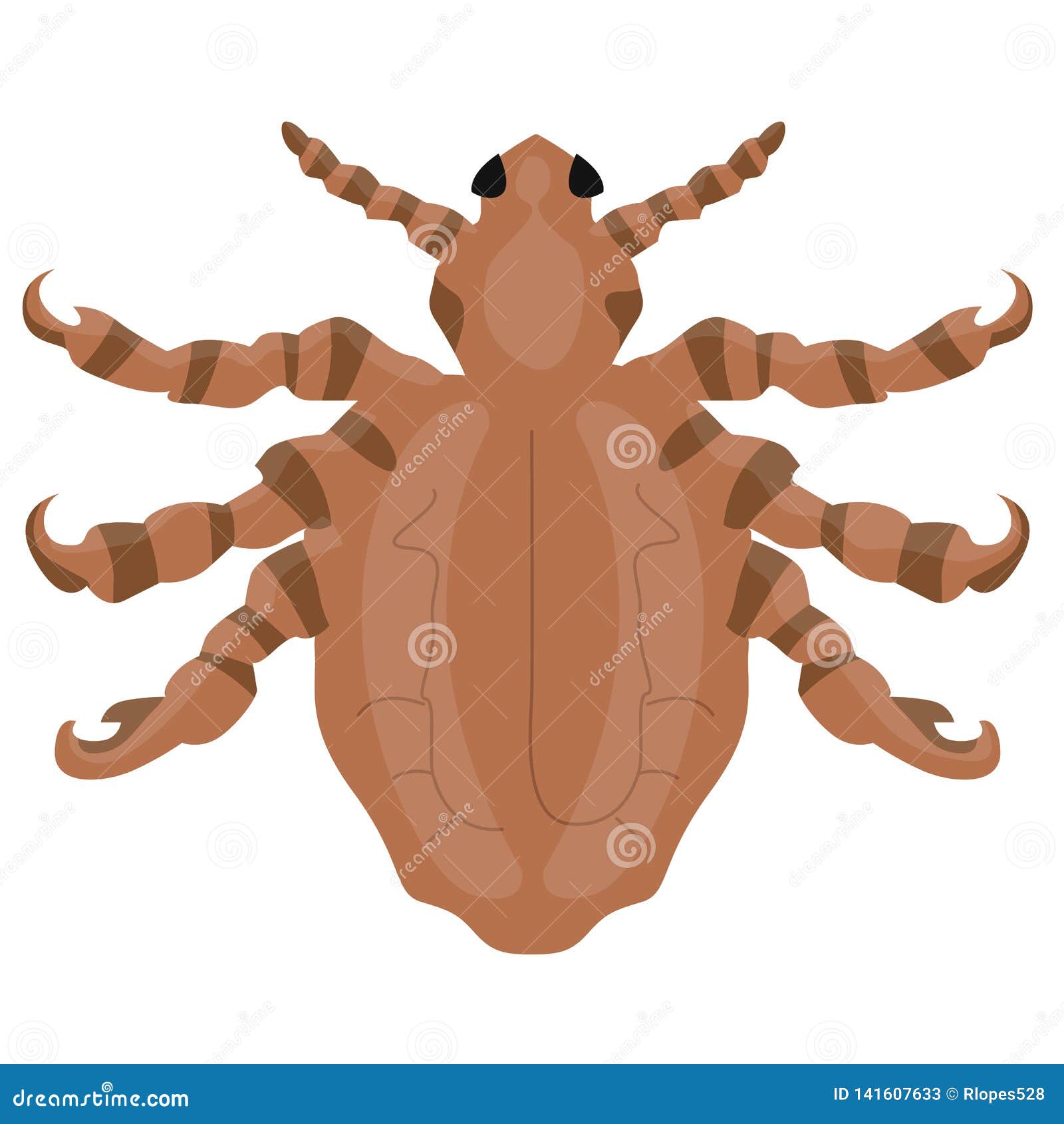 Illustration of a Crab Louse Stock Illustration - Illustration of ...