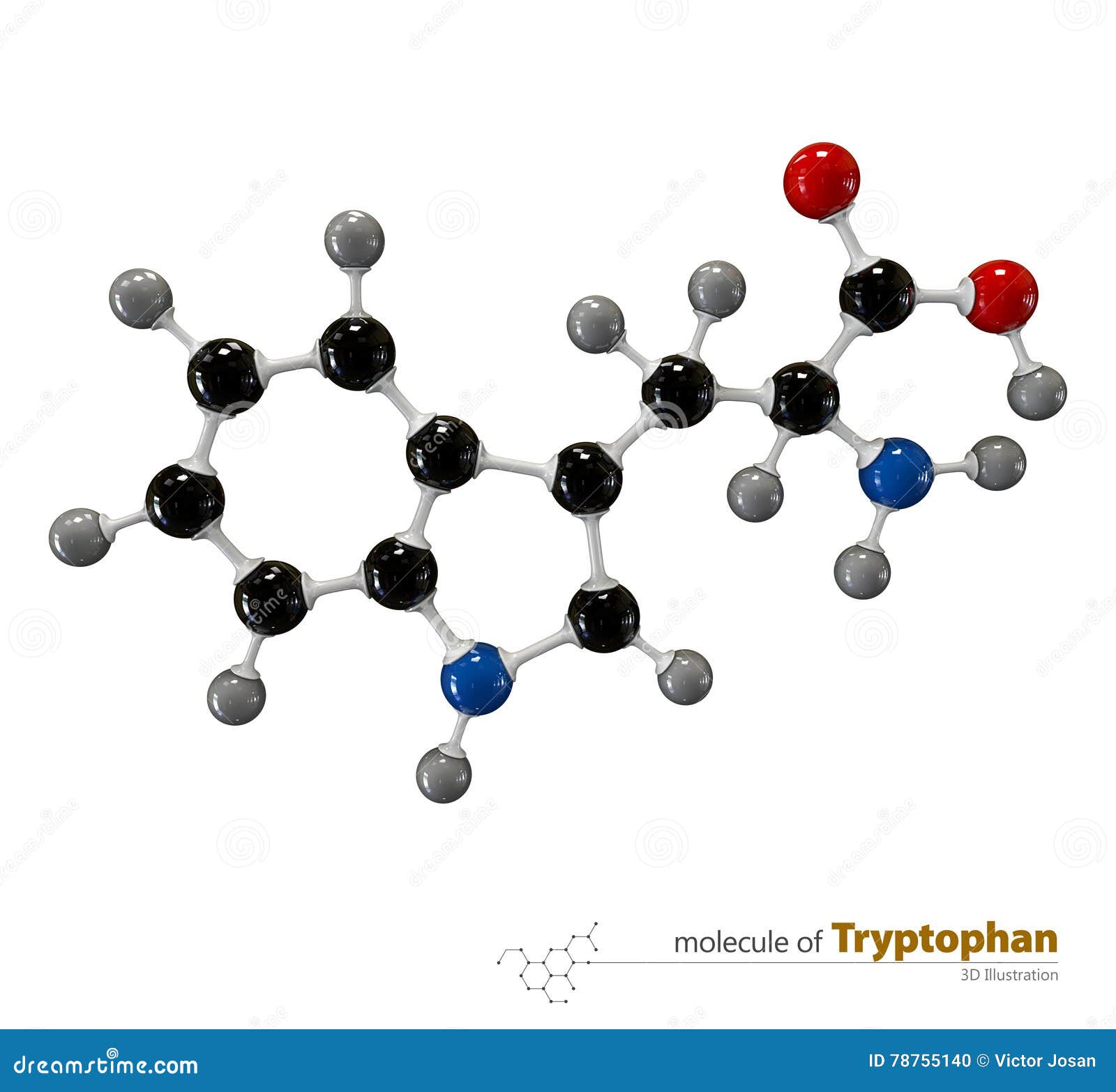 Tryptophan Molecule Structure 3d Illustration With Clipping Path ...