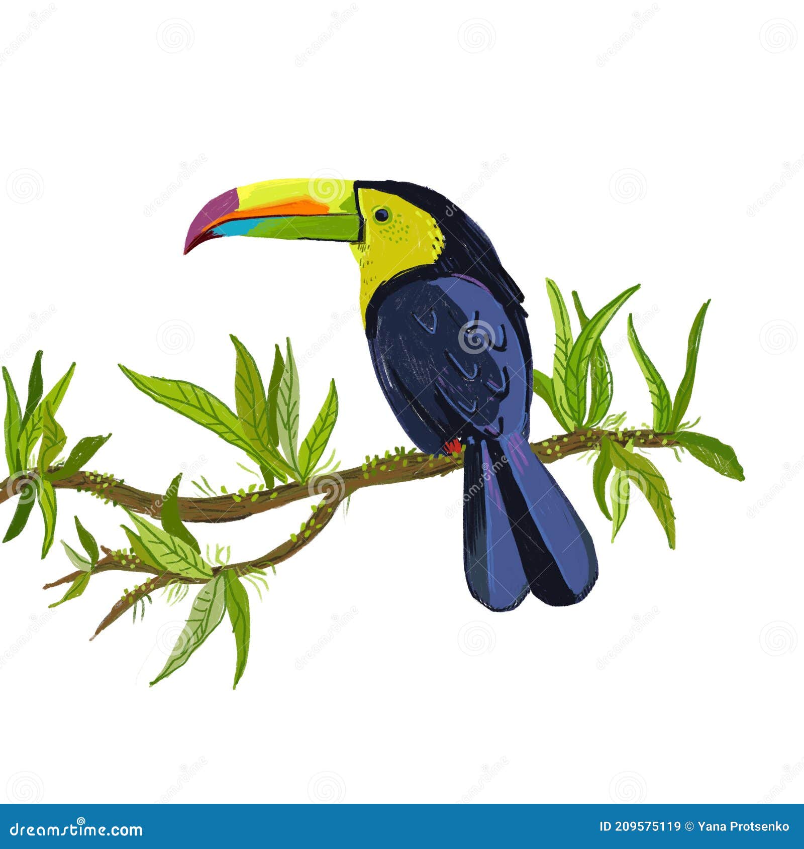 Illustration Of Tukan Toco Bird Cartoon, Cute Funny Character, Flat ...