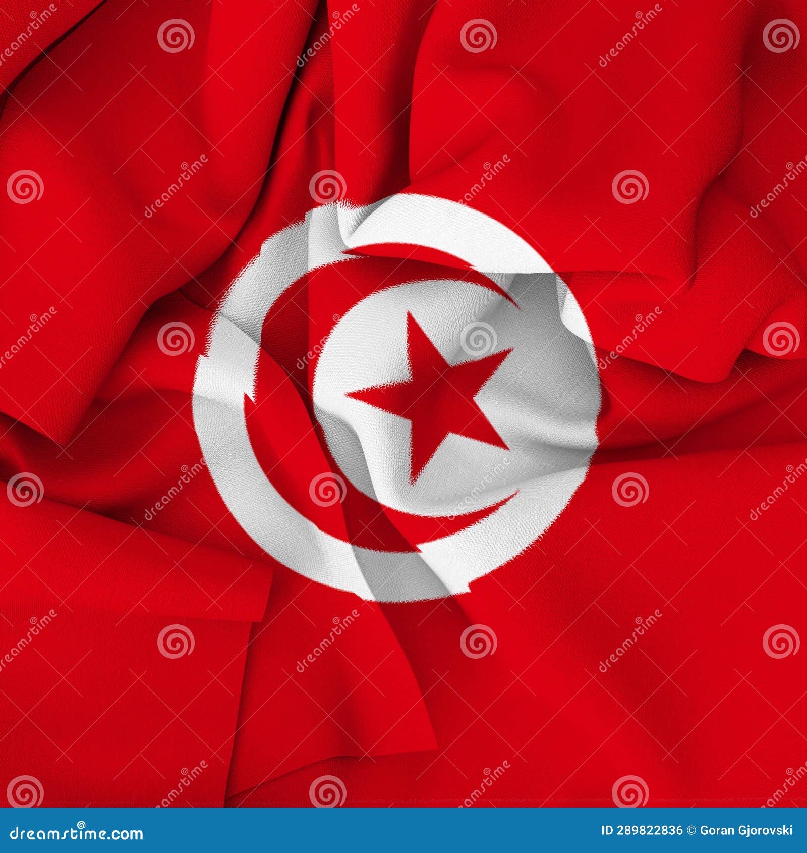 Tunis flag stock illustration. Illustration of land - 289822836