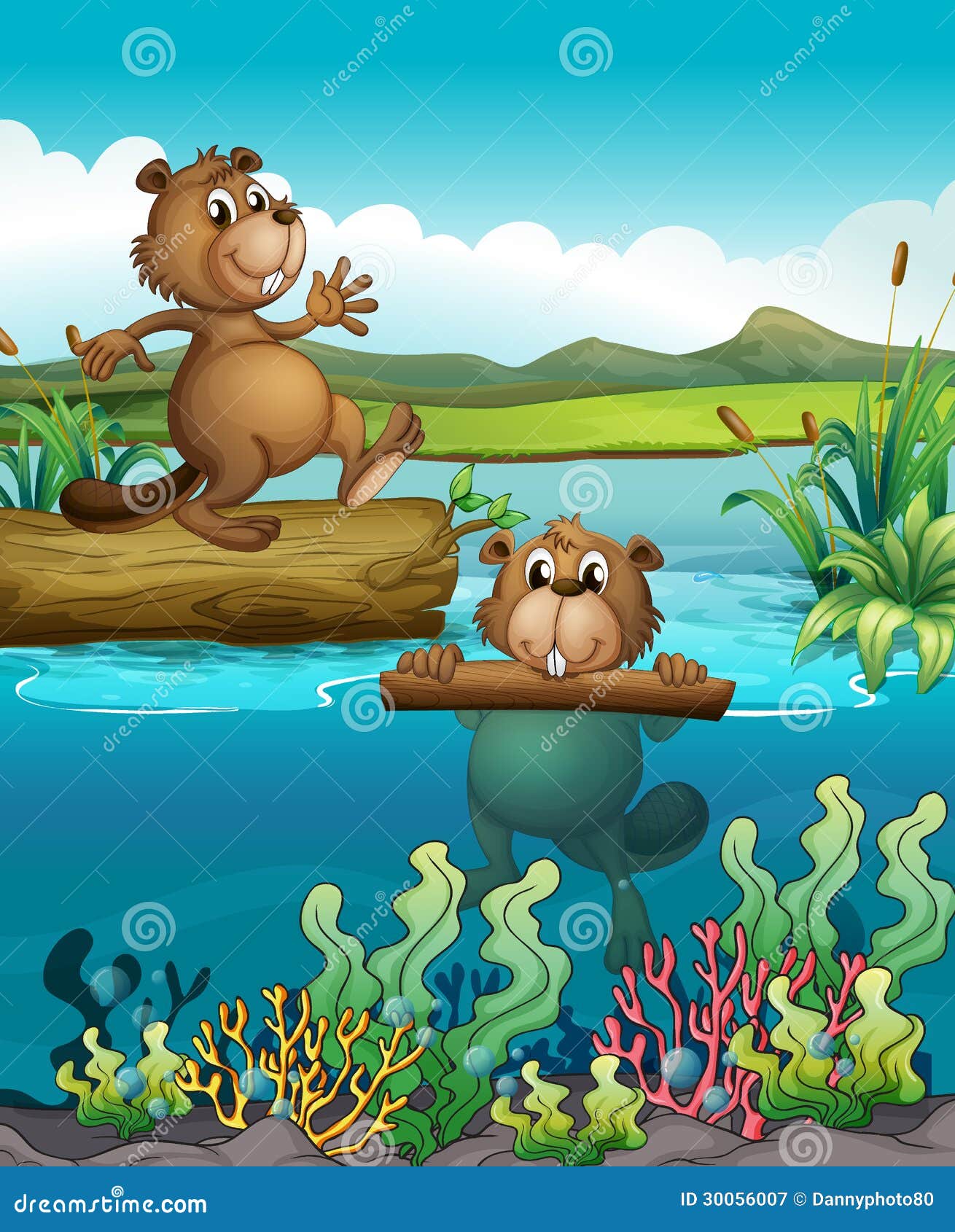 Two Beavers at the Deep River Stock Vector - Illustration of diving ...