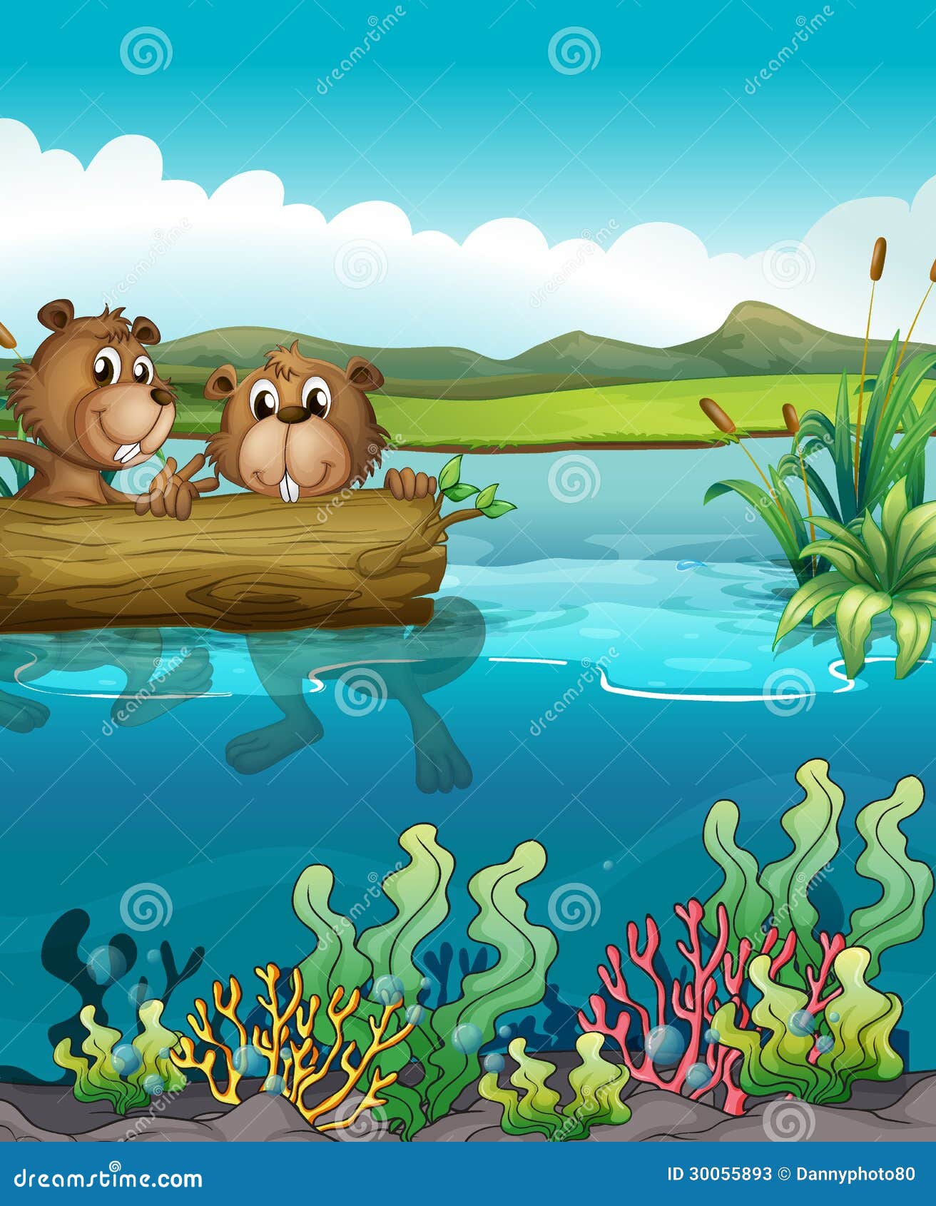 Two Beavers Playing in the Lake Stock Vector - Illustration of beavers ...