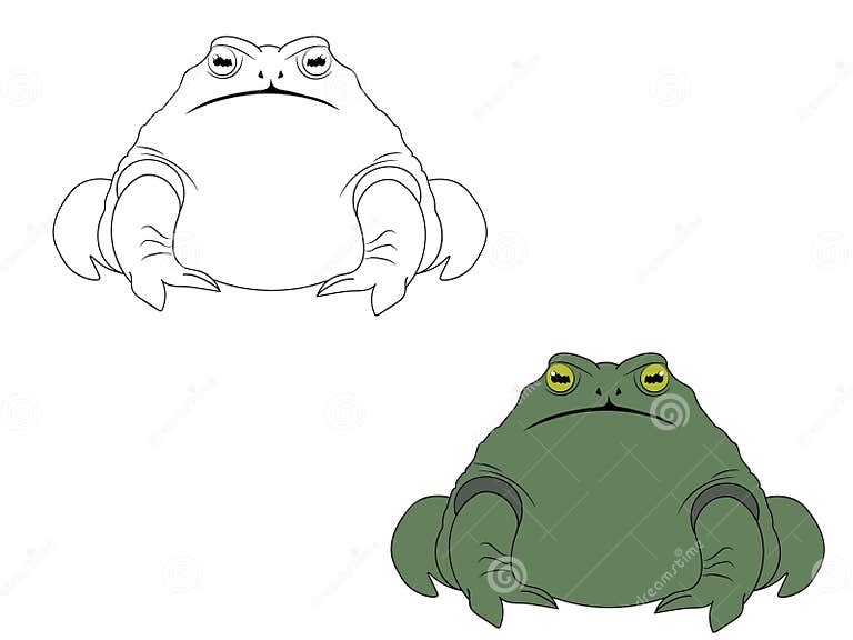 Hand Drawn Illustration of a Toad in Color and Outline Stock Vector ...