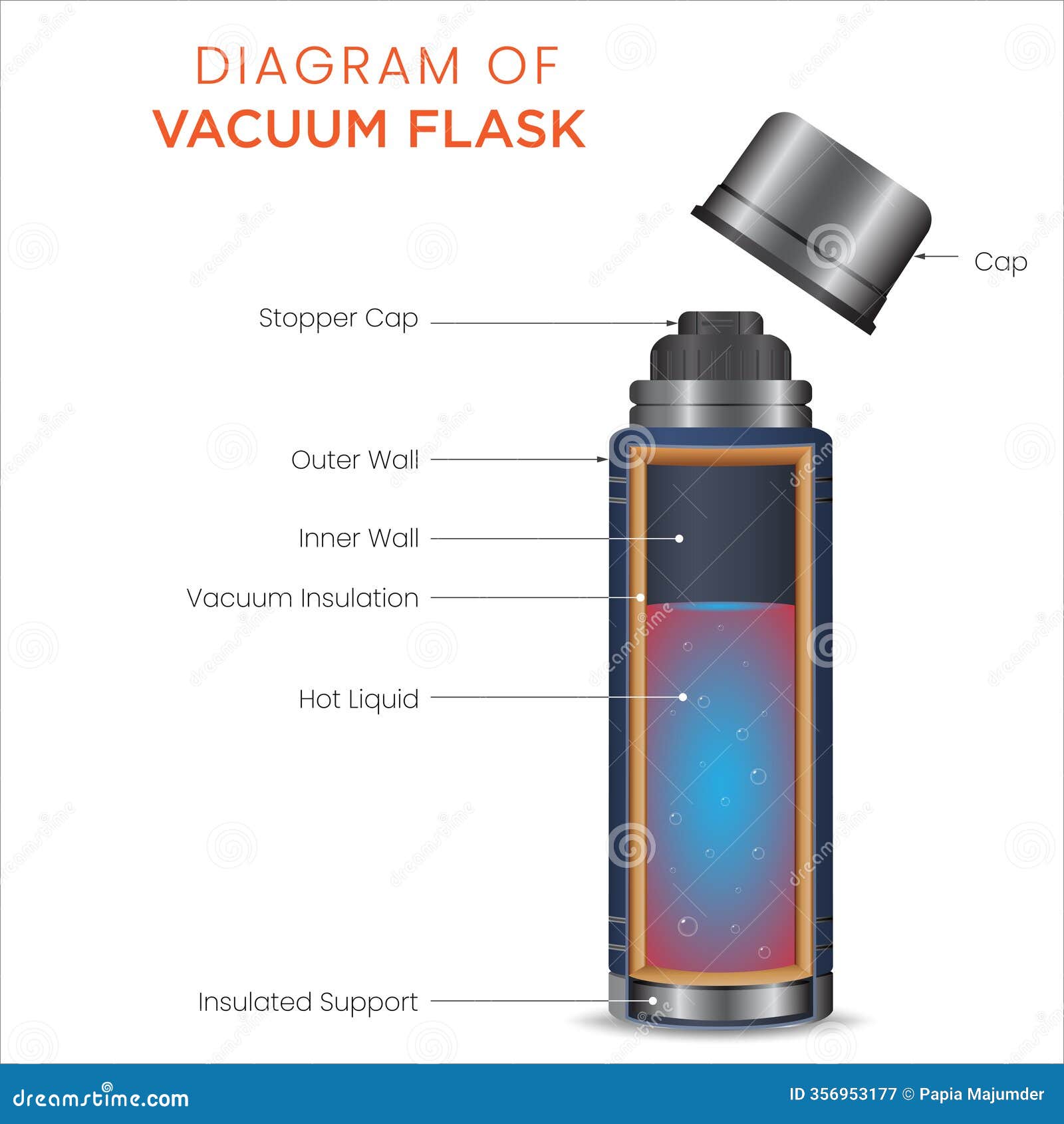 Vacuum Flask (thermos) Stock Photography | CartoonDealer.com #24597146