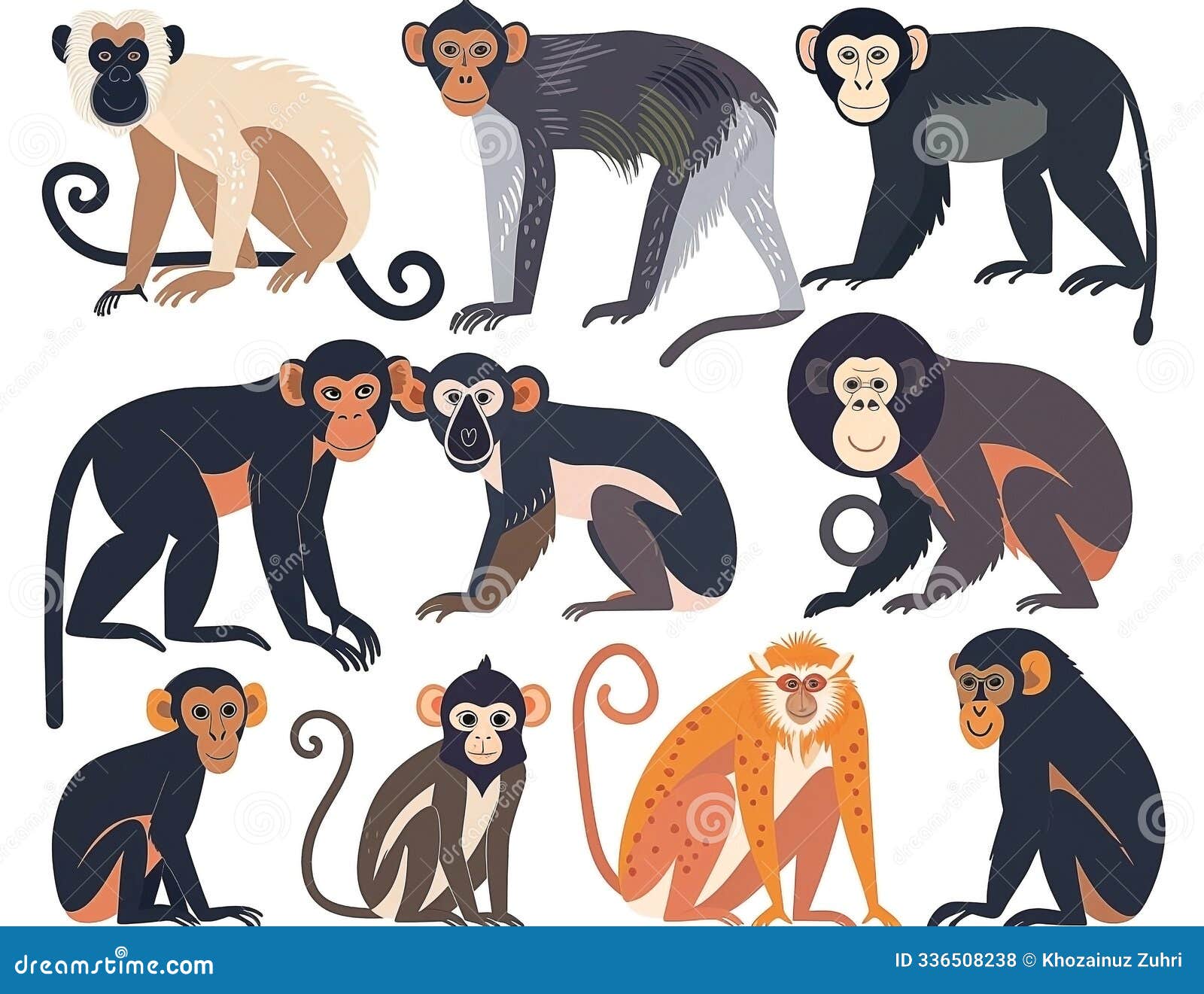 Illustration of Various Monkey Species - Diverse Primate Collection on ...