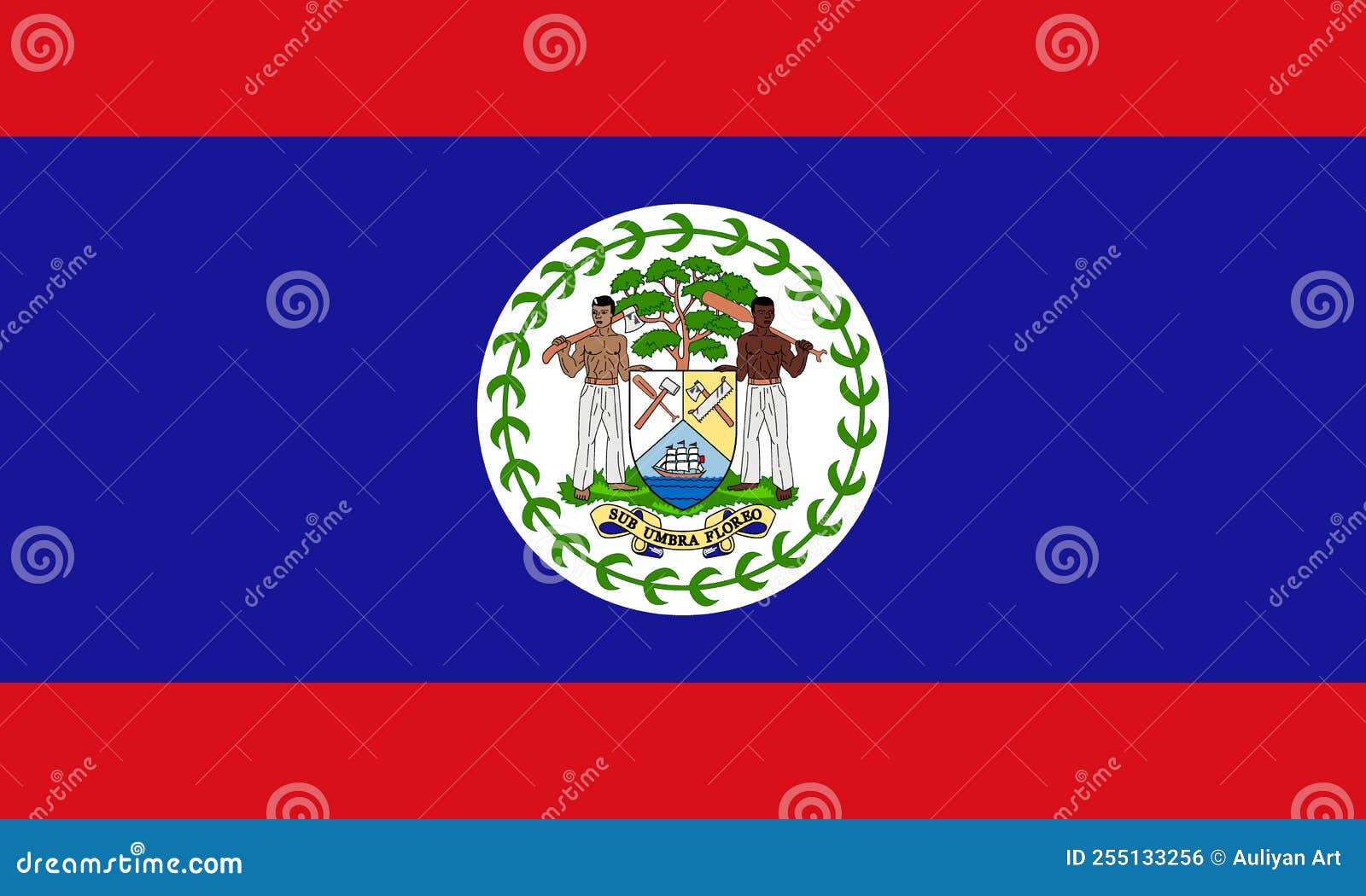Illustration Vector of British Virgin Islands Flag. British Virgin ...