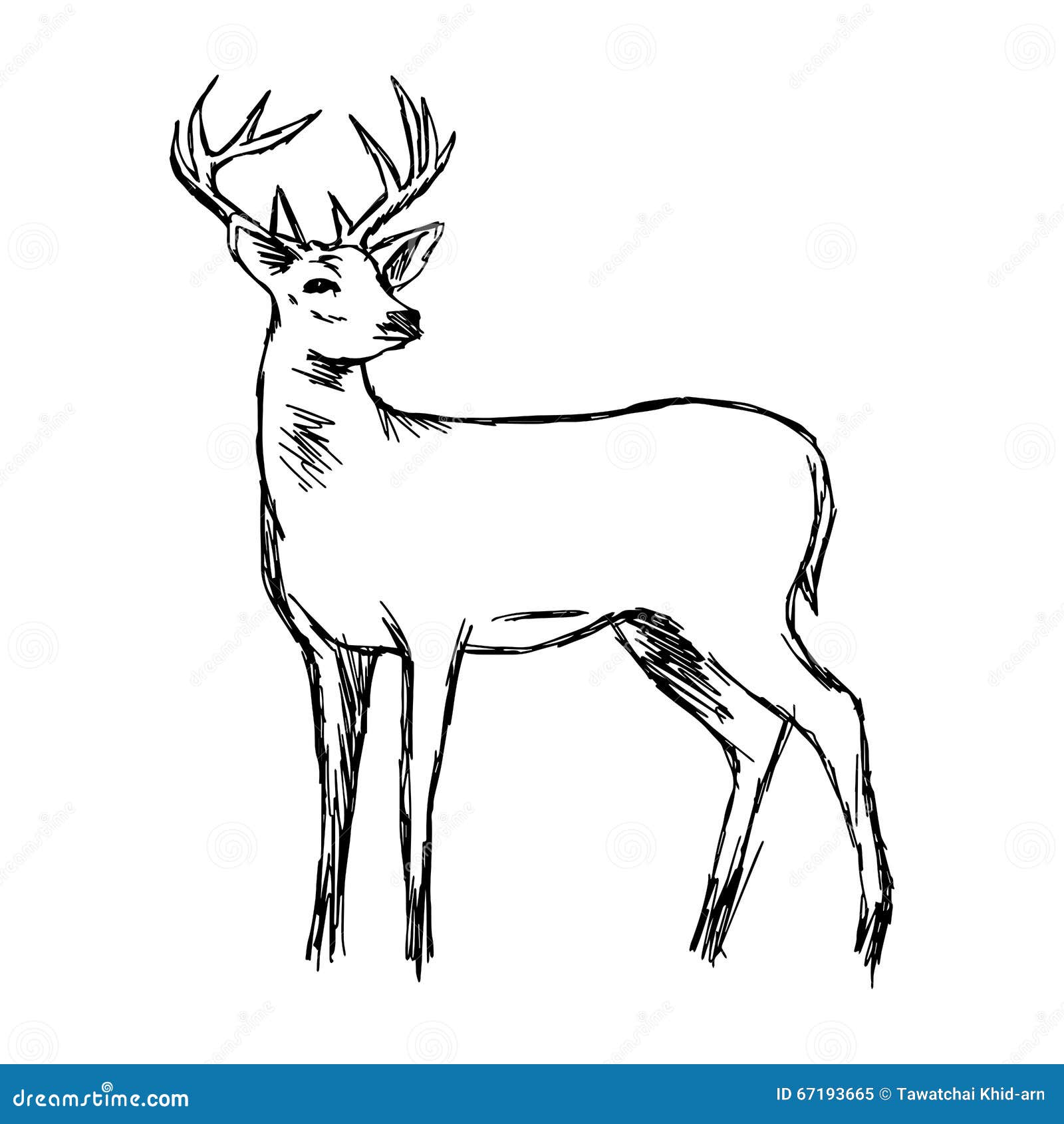 Illustration Vector Doodle Hand Drawn of Sketch Dear Looking Back ...