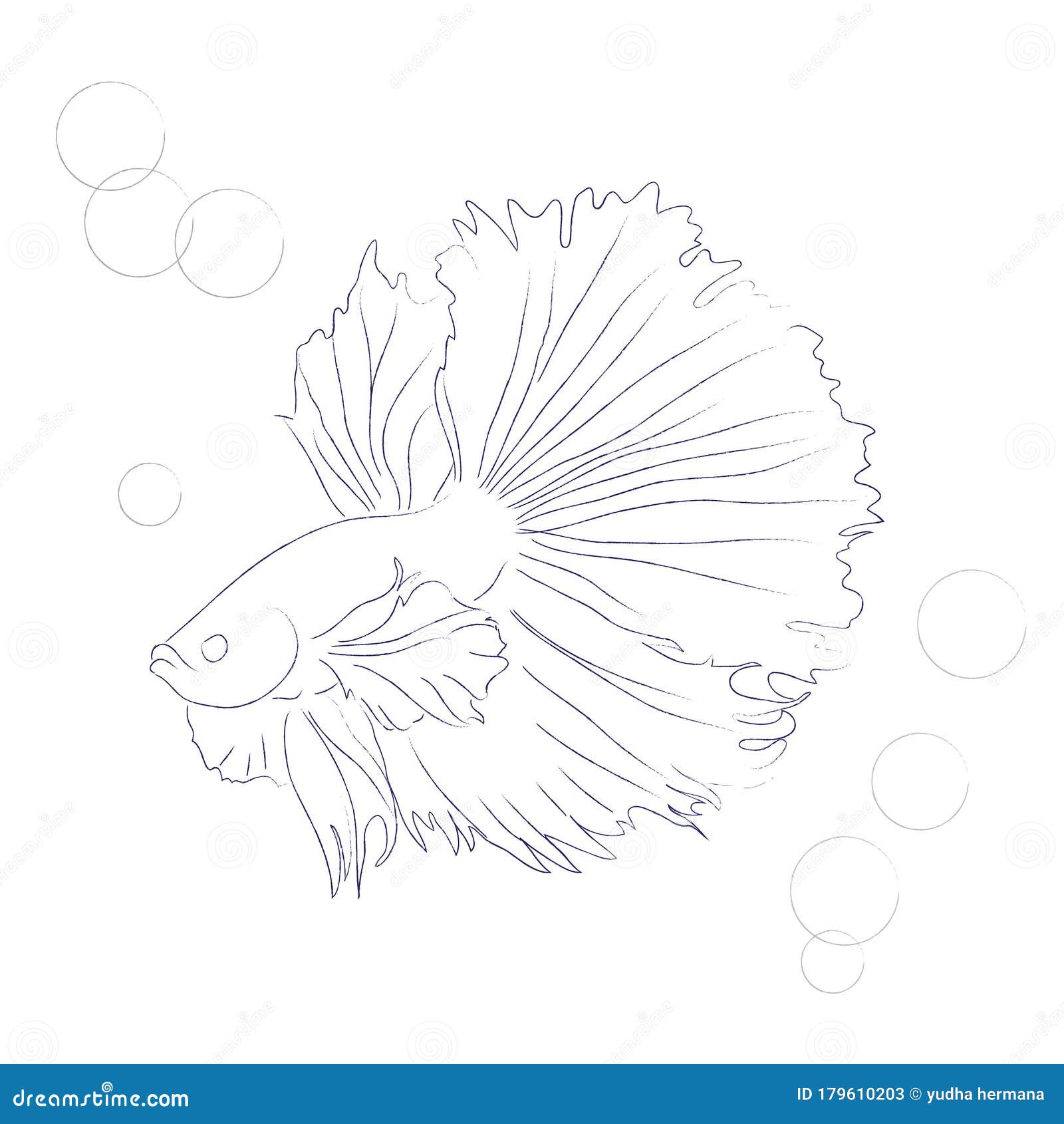 Illustration Vector Graphic Beta Fish Line Art Hand Drawing Stock ...