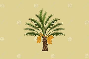 Date Palm Tree Vector Illustration Stock Vector - Illustration of ...