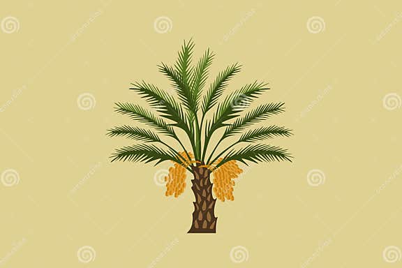 Date Palm Tree Vector Illustration Stock Vector - Illustration of ...