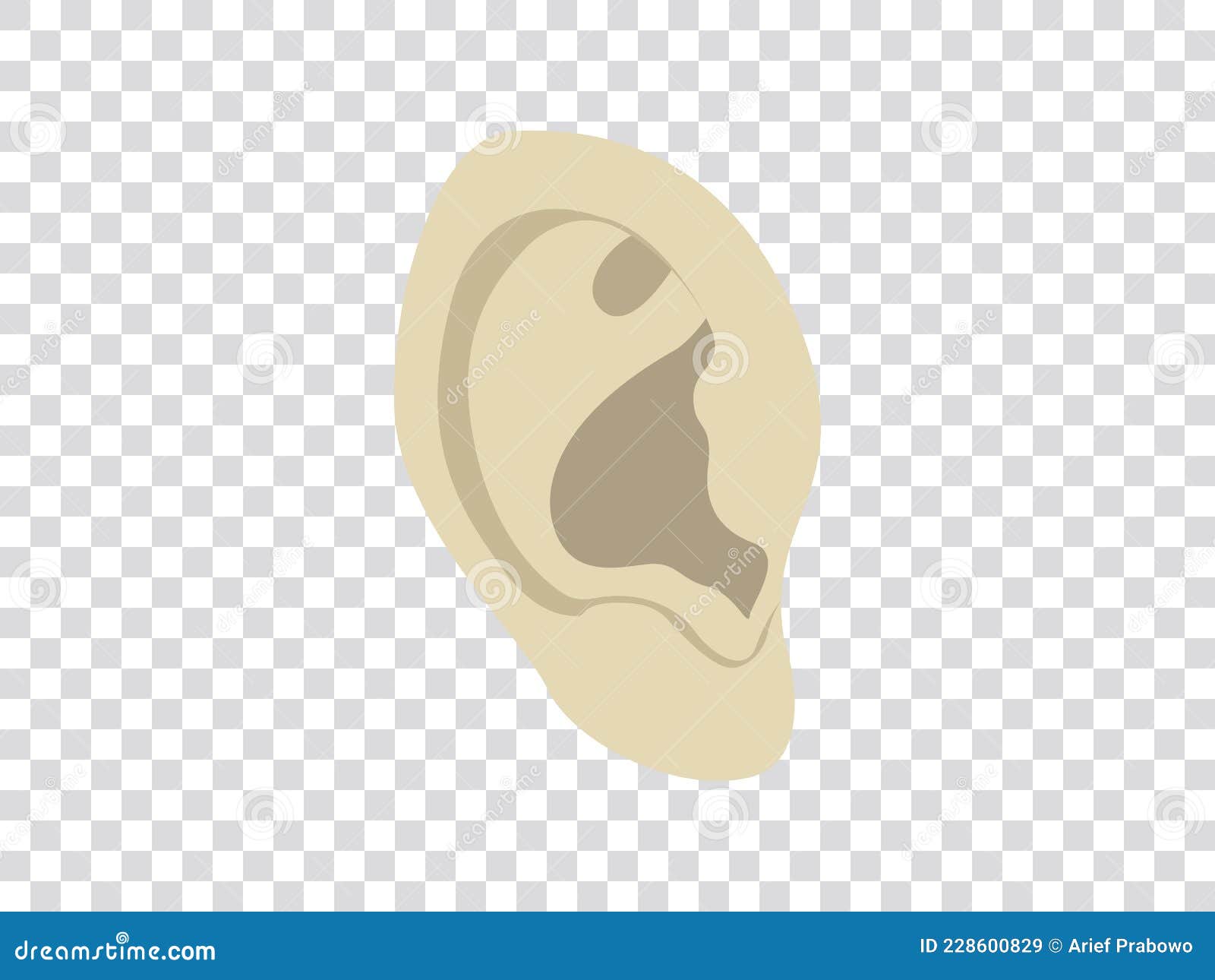 Illustration Vector Graphic of Human Ear Isolated on Transparent ...