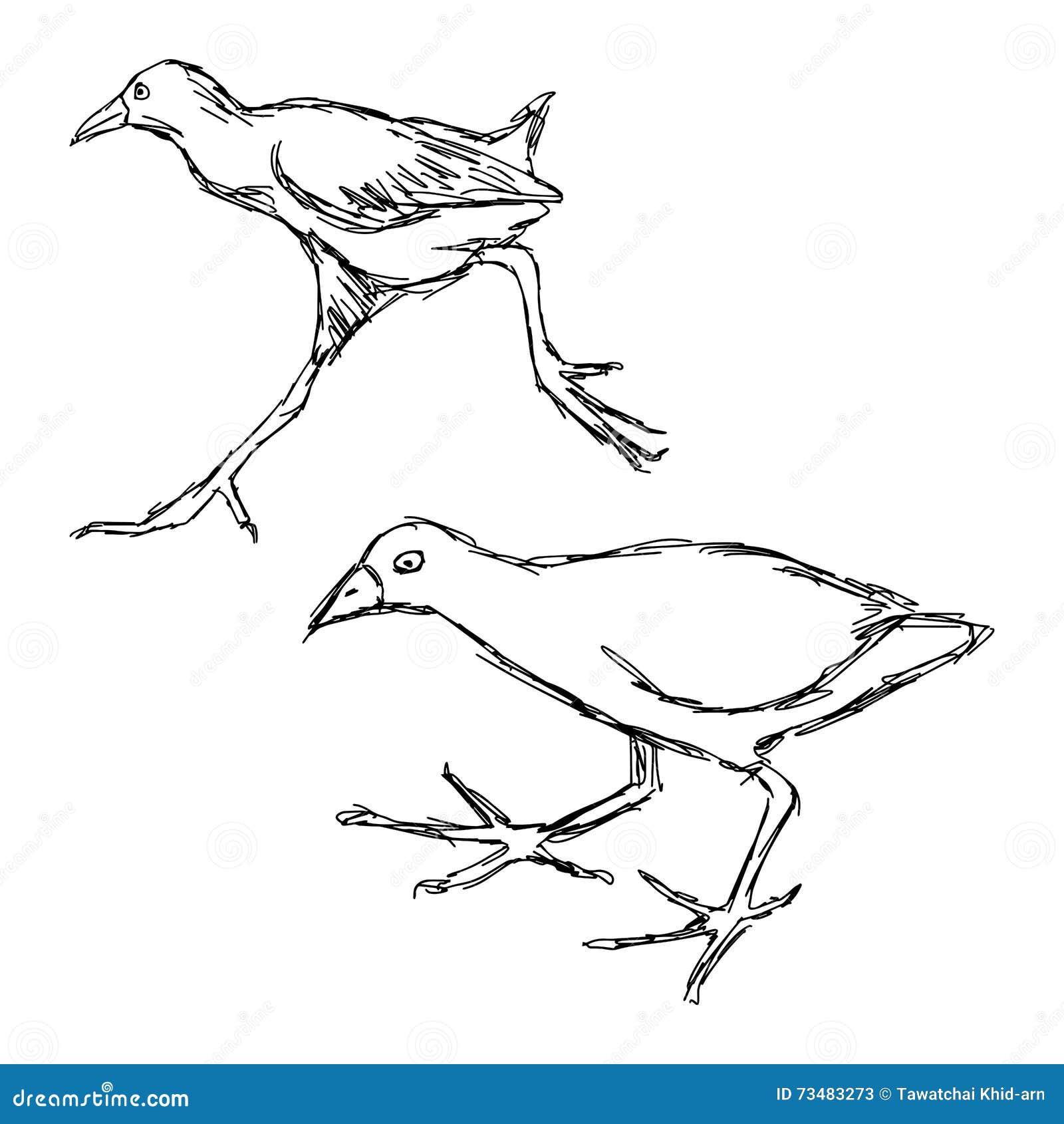 Crake Cartoons, Illustrations & Vector Stock Images - 47 Pictures to ...