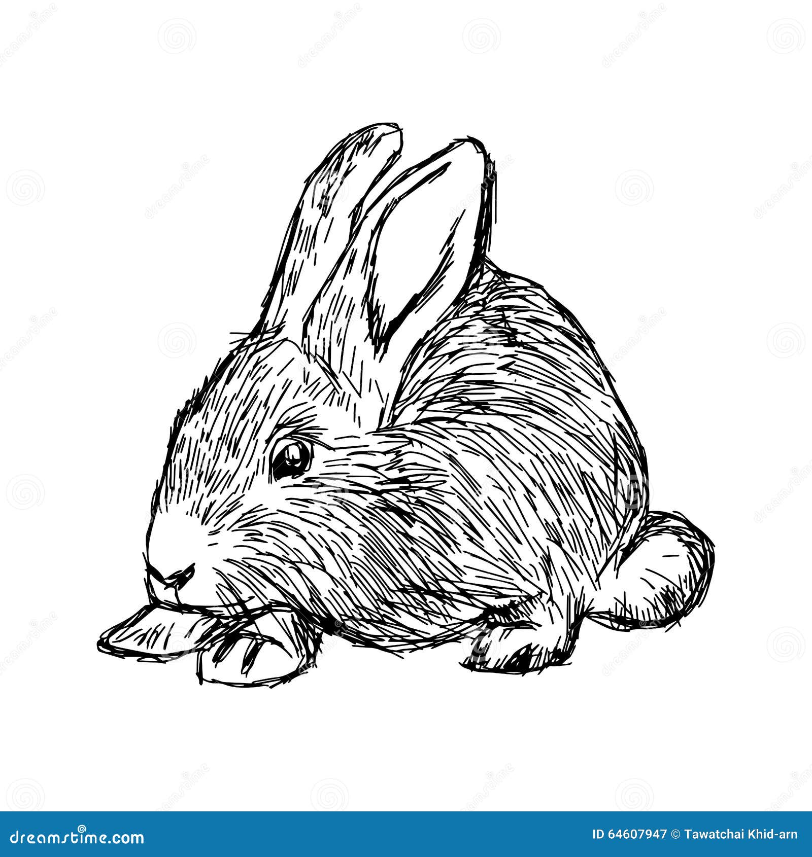 Illustration Vector Hand Drawn Doodle Rabbit Isolated on White. Stock ...