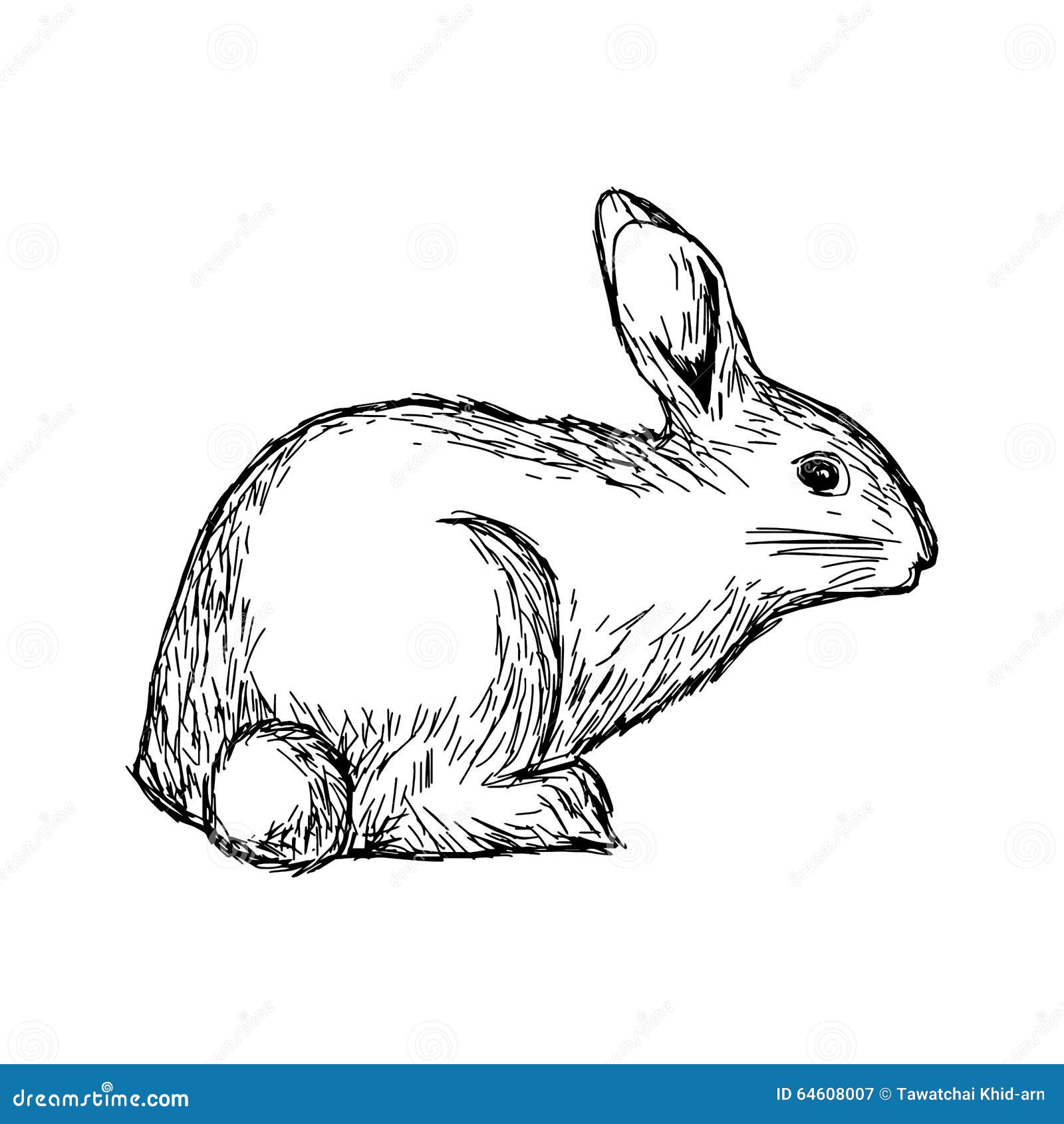Illustration Vector Hand Drawn Doodle Rabbit on White. Stock Vector ...