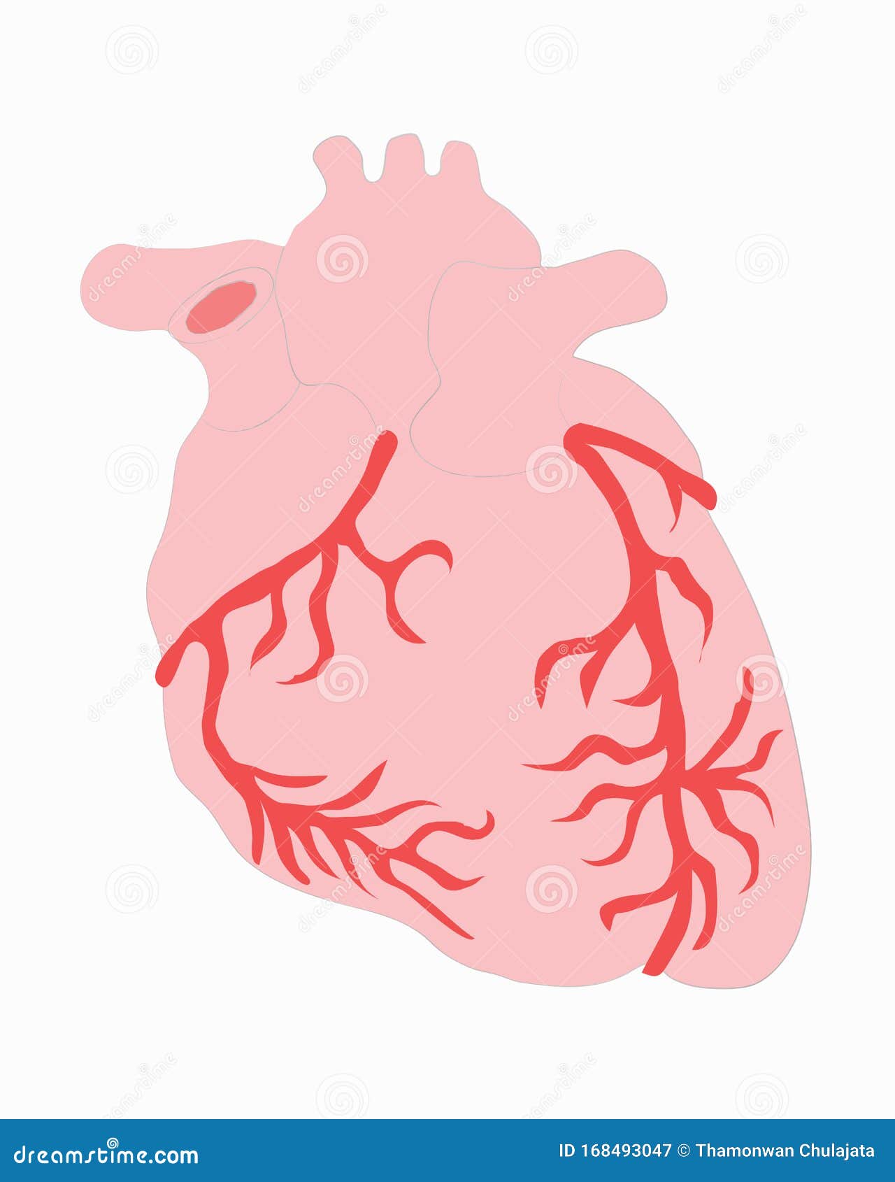 Set Drawings Heart Stock Illustration | CartoonDealer.com #146570194