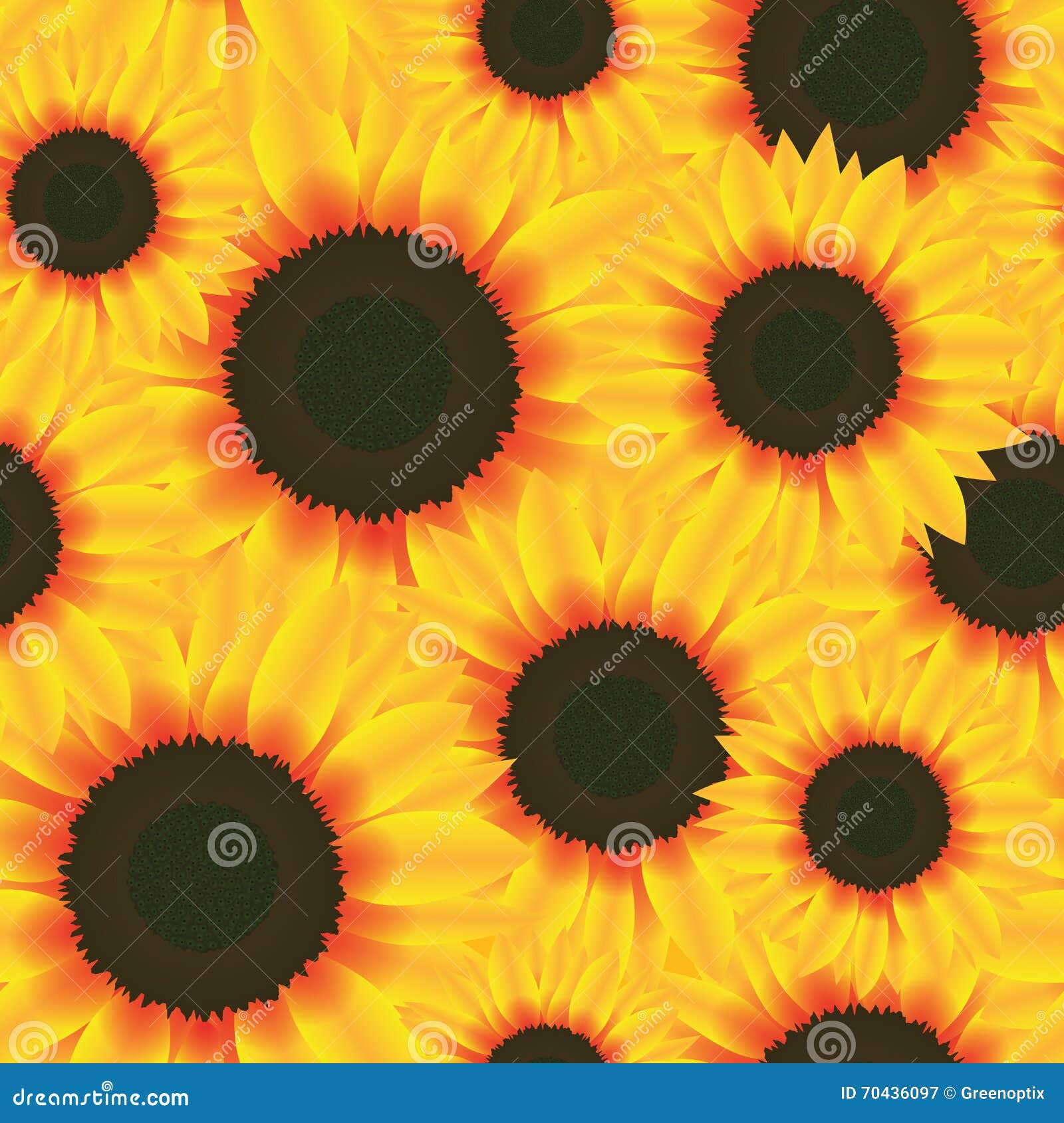 Illustration Vector Seamless Pattern Flower Sunflower Stock ...