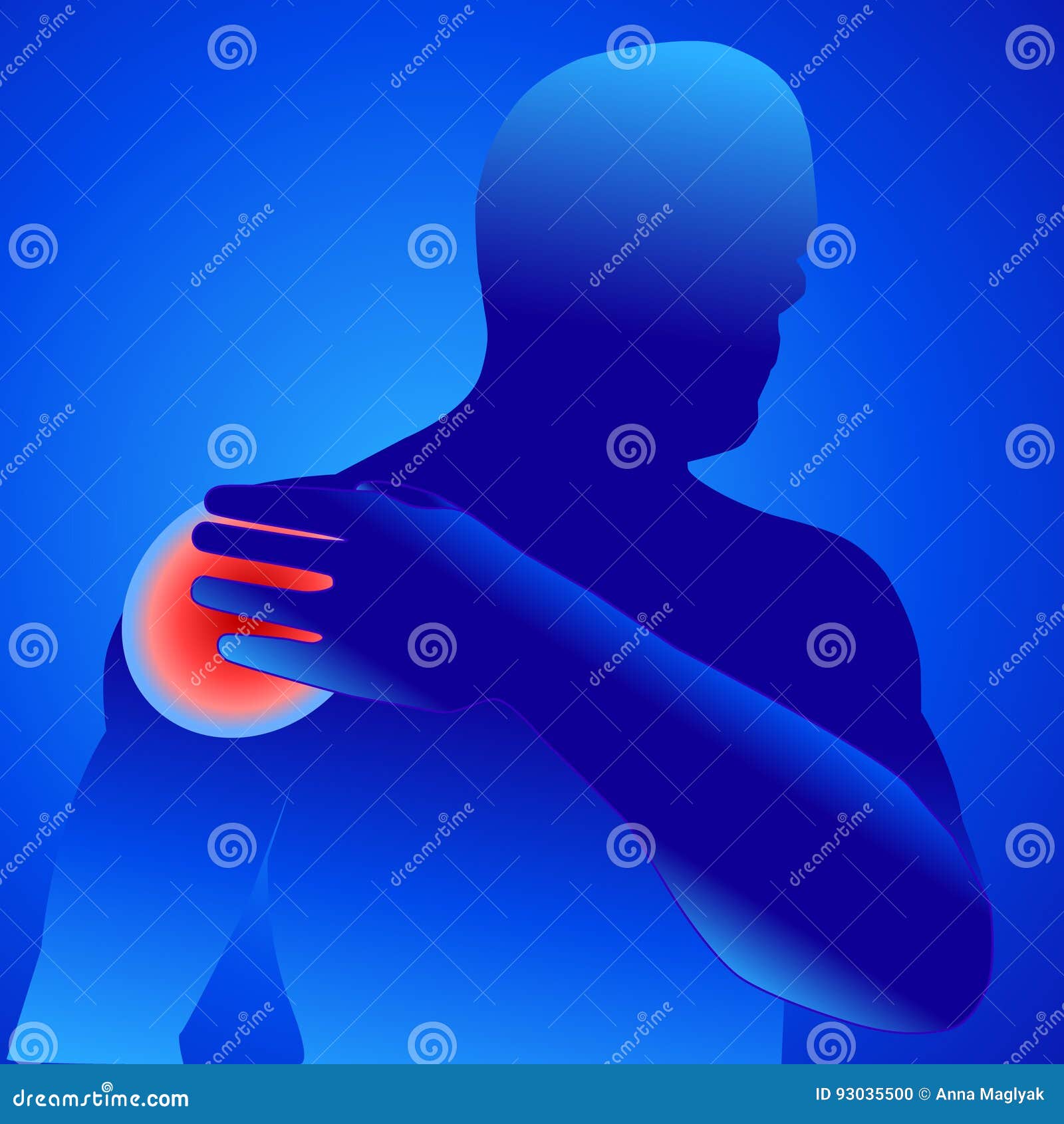 Shoulder Bone - Human Skeleton, Bone Anatomy, Artwork Illustration 2d ...