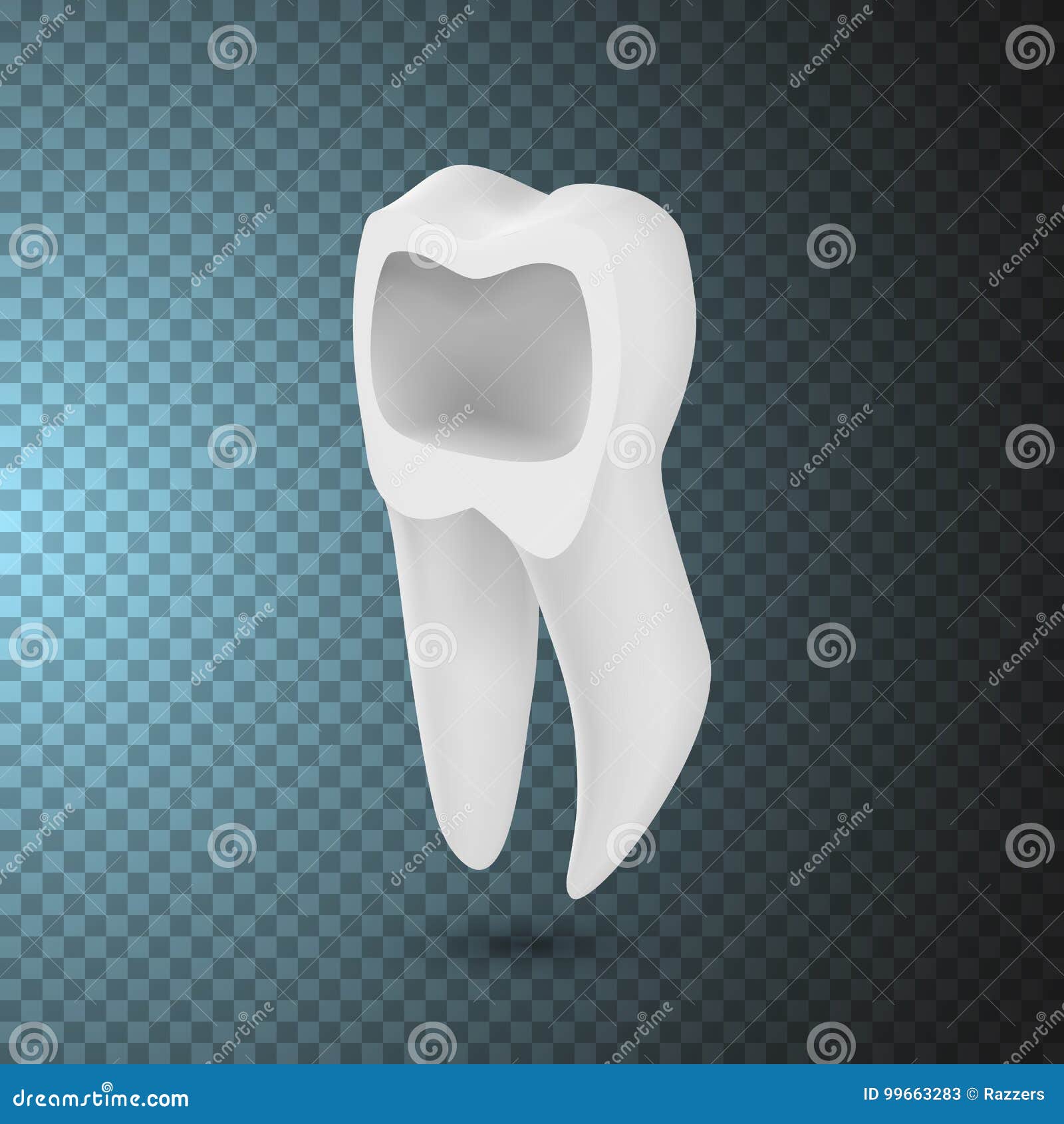 Vector Tooth Icon. Realistic Teeth Isolated on Transparent Overlay ...