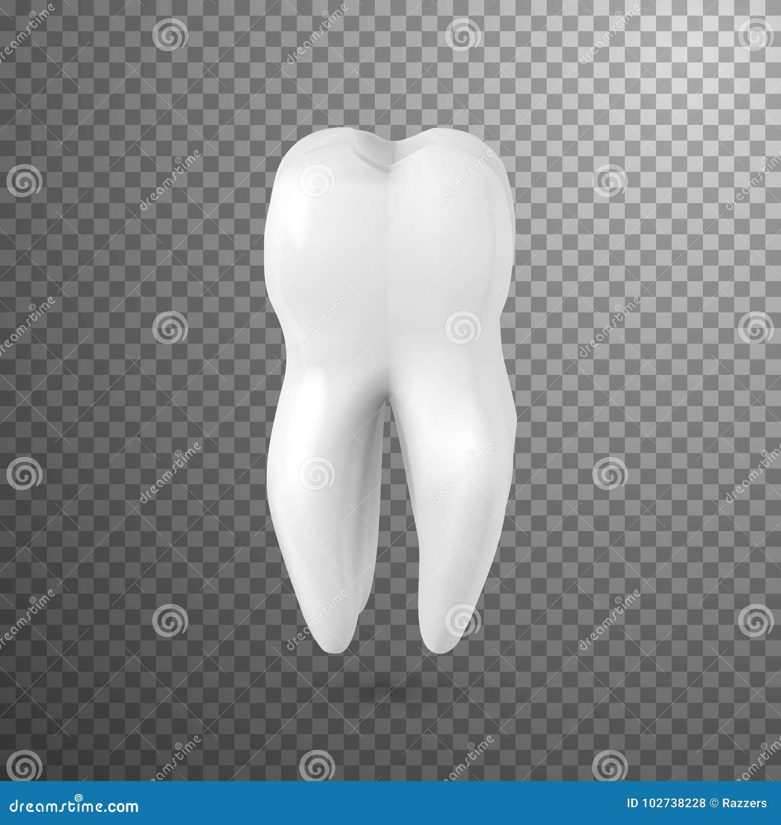 Vector Tooth Icon. Realistic Teeth on Transparent Overlay Background ...