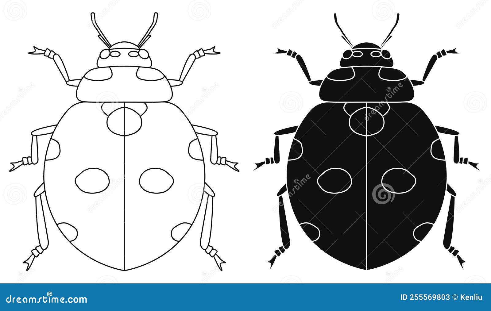 Illustration Vectorielle Contour De Ladybug Illustration de Vecteur ...
