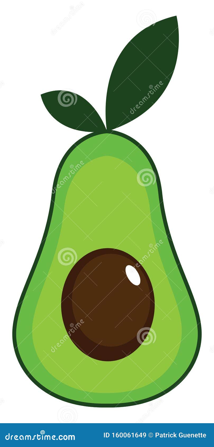 Illustration Vectorielle D'avocat Simple Illustration de Vecteur ...