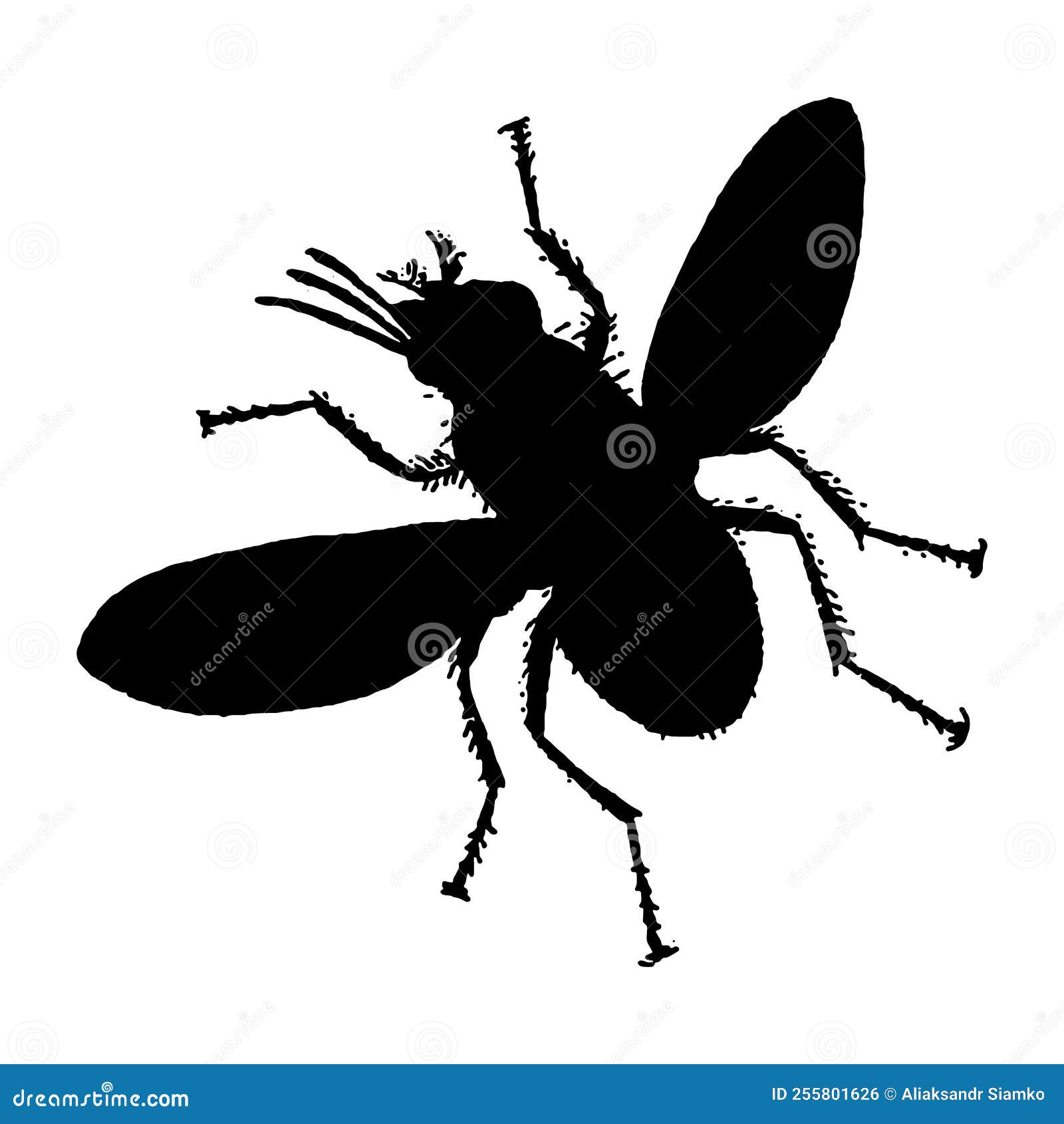 Illustration Vectorielle De La Silhouette De La Mouche Illustration de ...