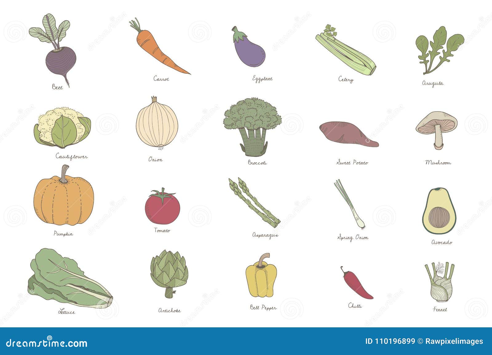 Illustration of Vegetable Types Isolated Stock Illustration ...