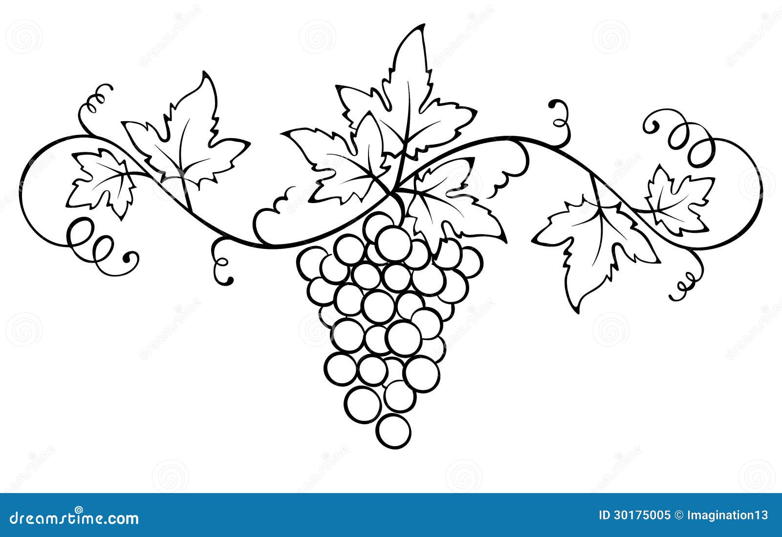 Vektorverzierung Mit Der Rebe Vektor Abbildung - Illustration von ...