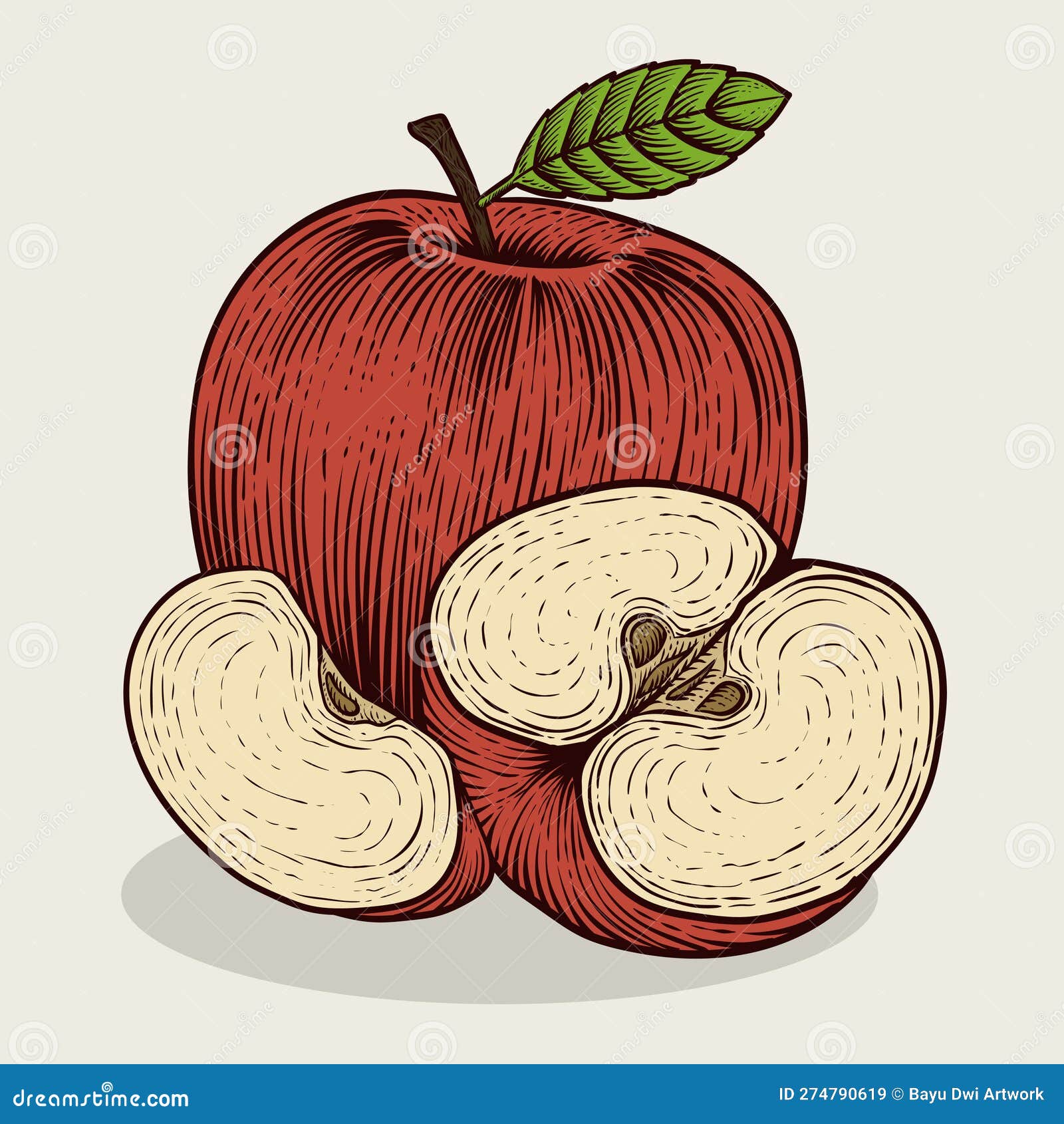 Illustration Vintage Apple Fruit with Engraving Style on White ...