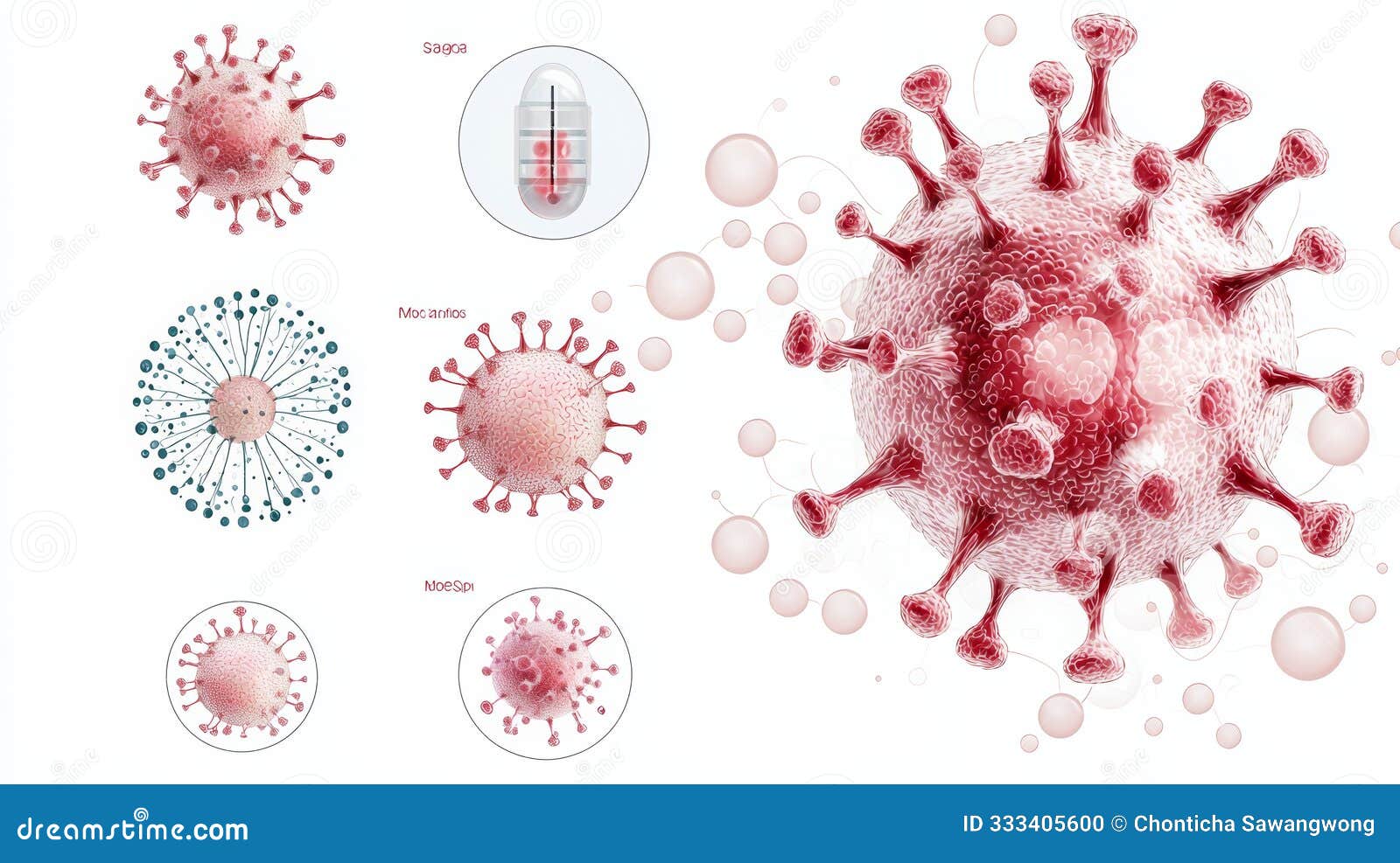 Illustration of a Virus Structure, Highlighting Its Features and ...