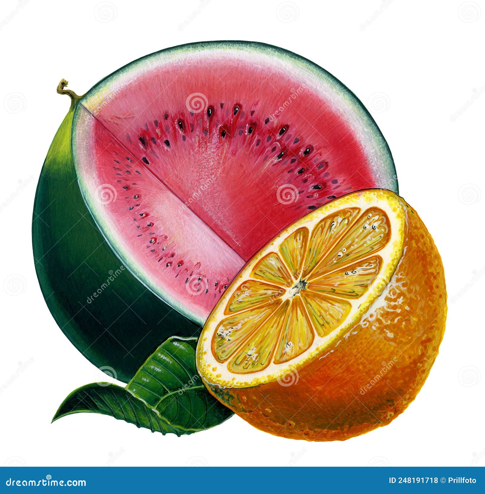 Watermelon and orange stock photo. Image of orange, melon - 248191718