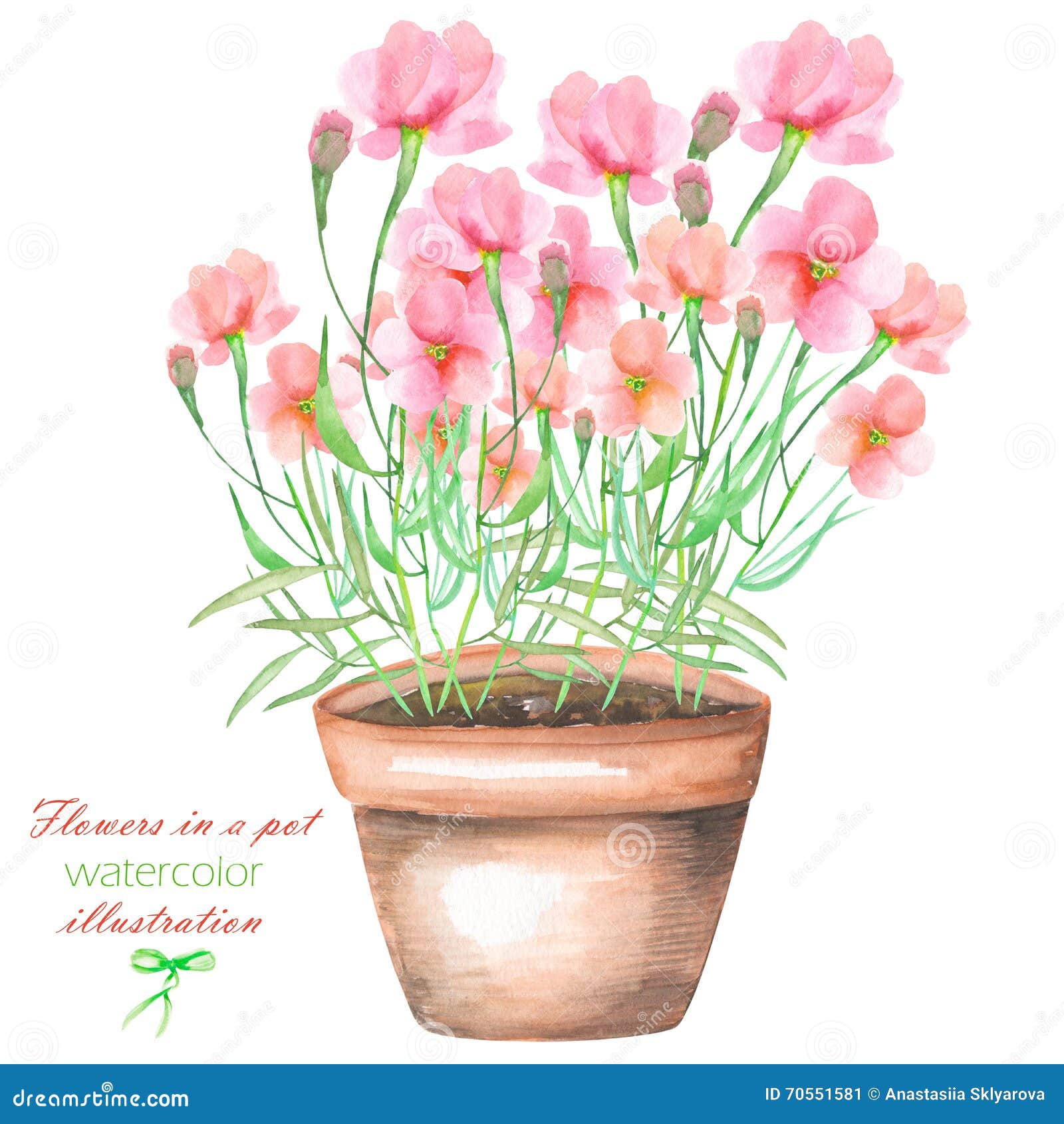 An Illustration With The Watercolor Pink Flowers In A Pot Stock Illustration Illustration Of