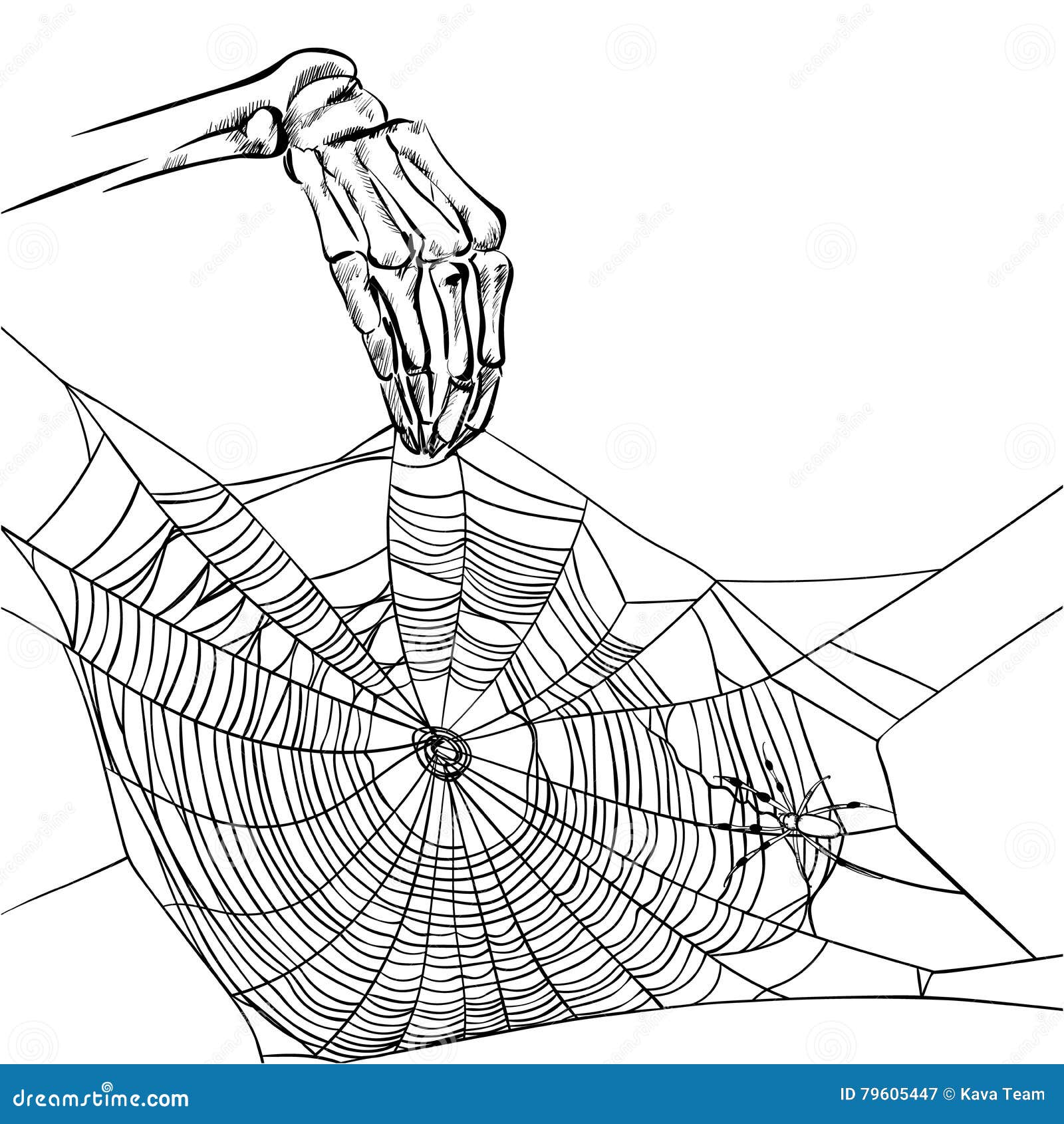 Illustration with Web and Skeleton Hand Stock Vector - Illustration of ...