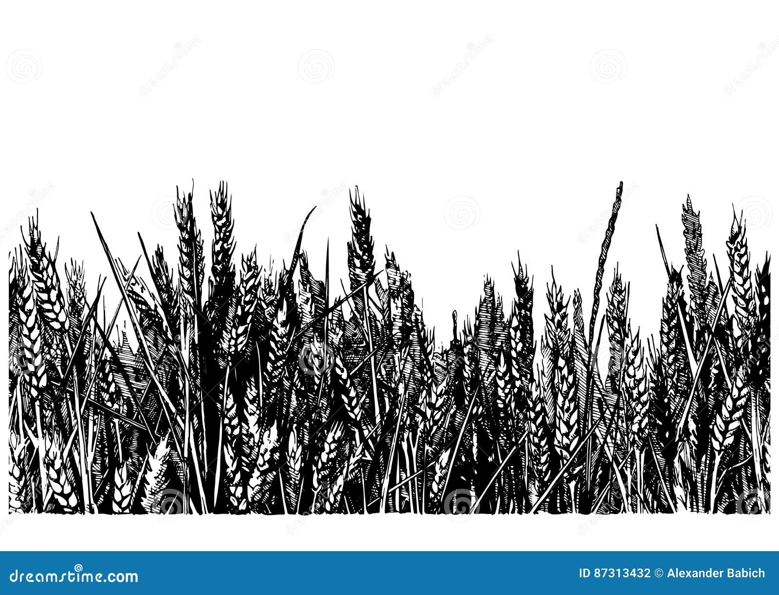 Illustration of Wheat Field Stock Vector - Illustration of food, drawn ...