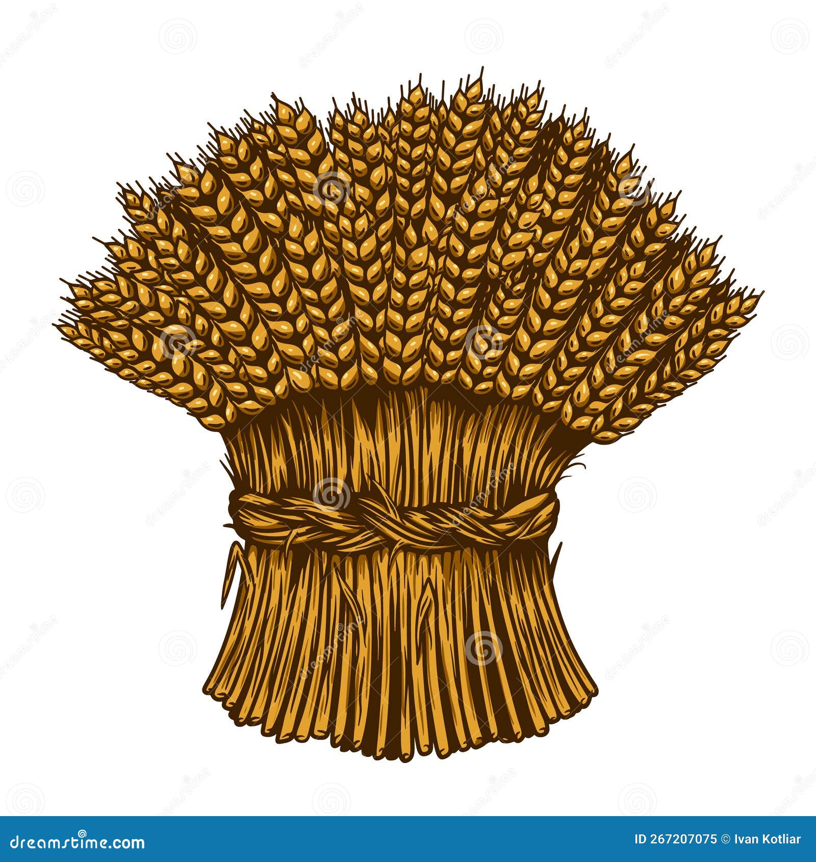 Illustration of Wheat Sheaf in Engraving Style. Design Element for Card ...