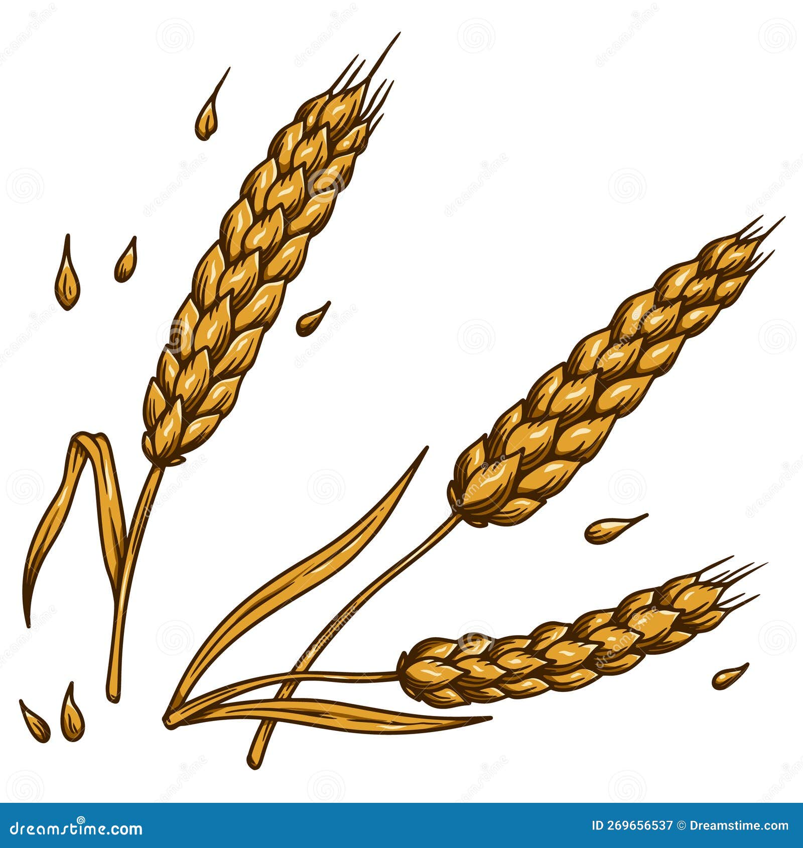 Illustration of Wheat Spikelet in Engraving Style. Design Element for ...