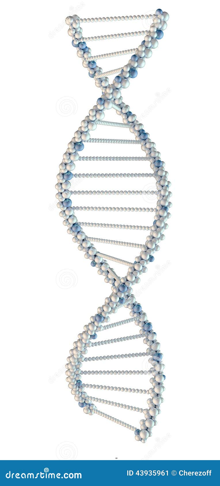 Illustration of White DNA Chain Stock Illustration - Illustration of ...