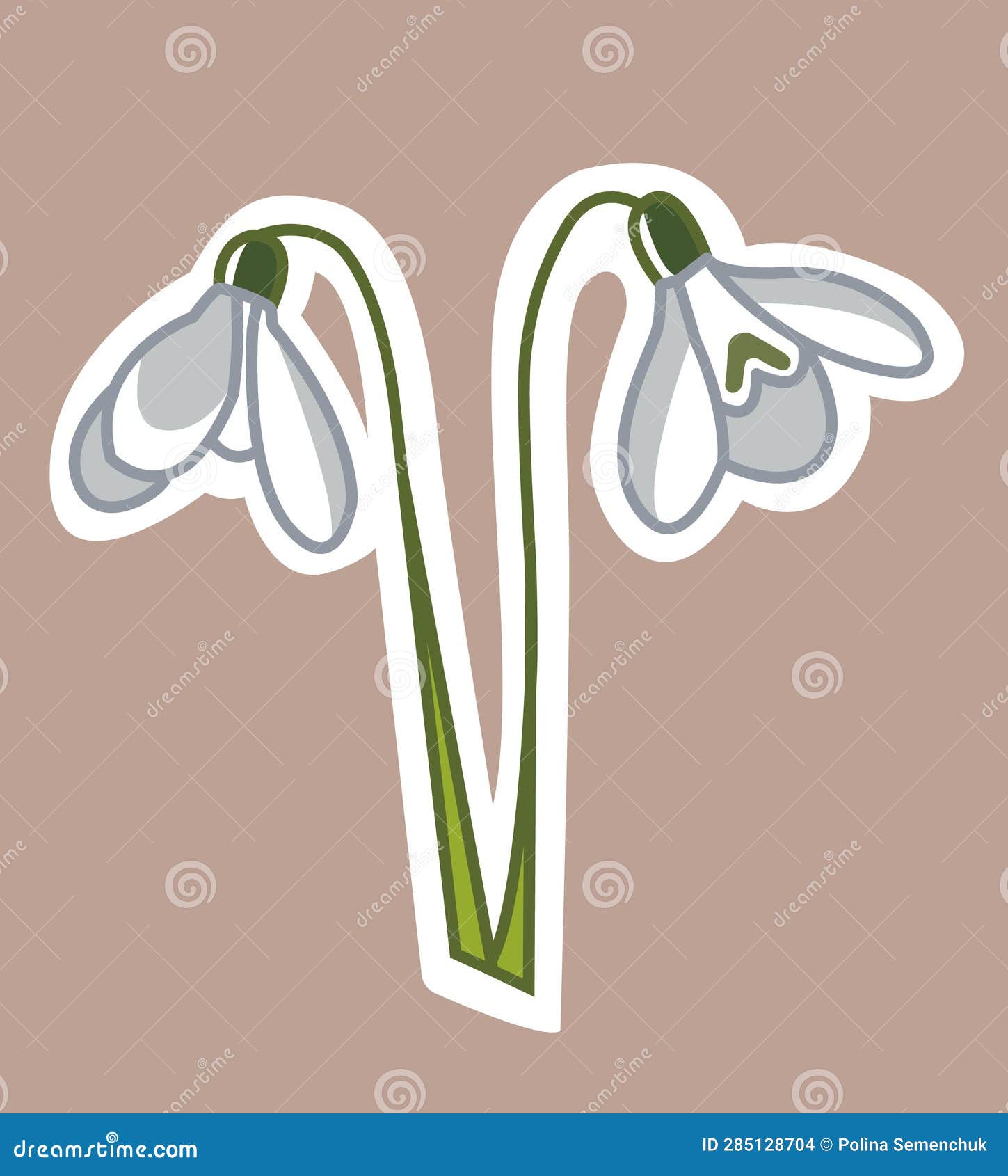 An Illustration of White Snowdrop. Stock Vector - Illustration of ...