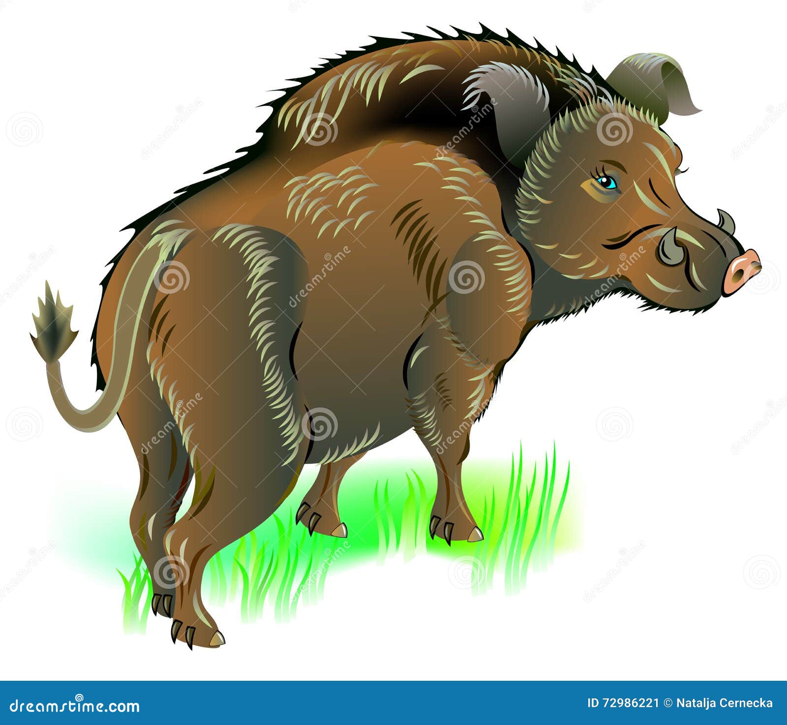 Illustration of wild boar. stock vector. Illustration of cartoon - 72986221