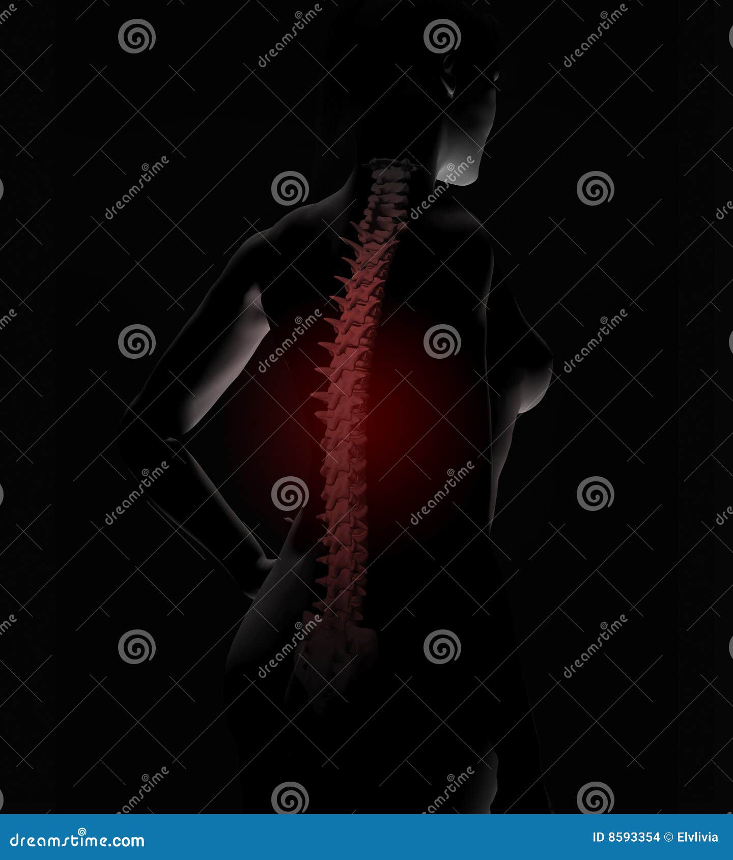 Back Bone With Hip Bone Blue Shader Stock Image | CartoonDealer.com ...