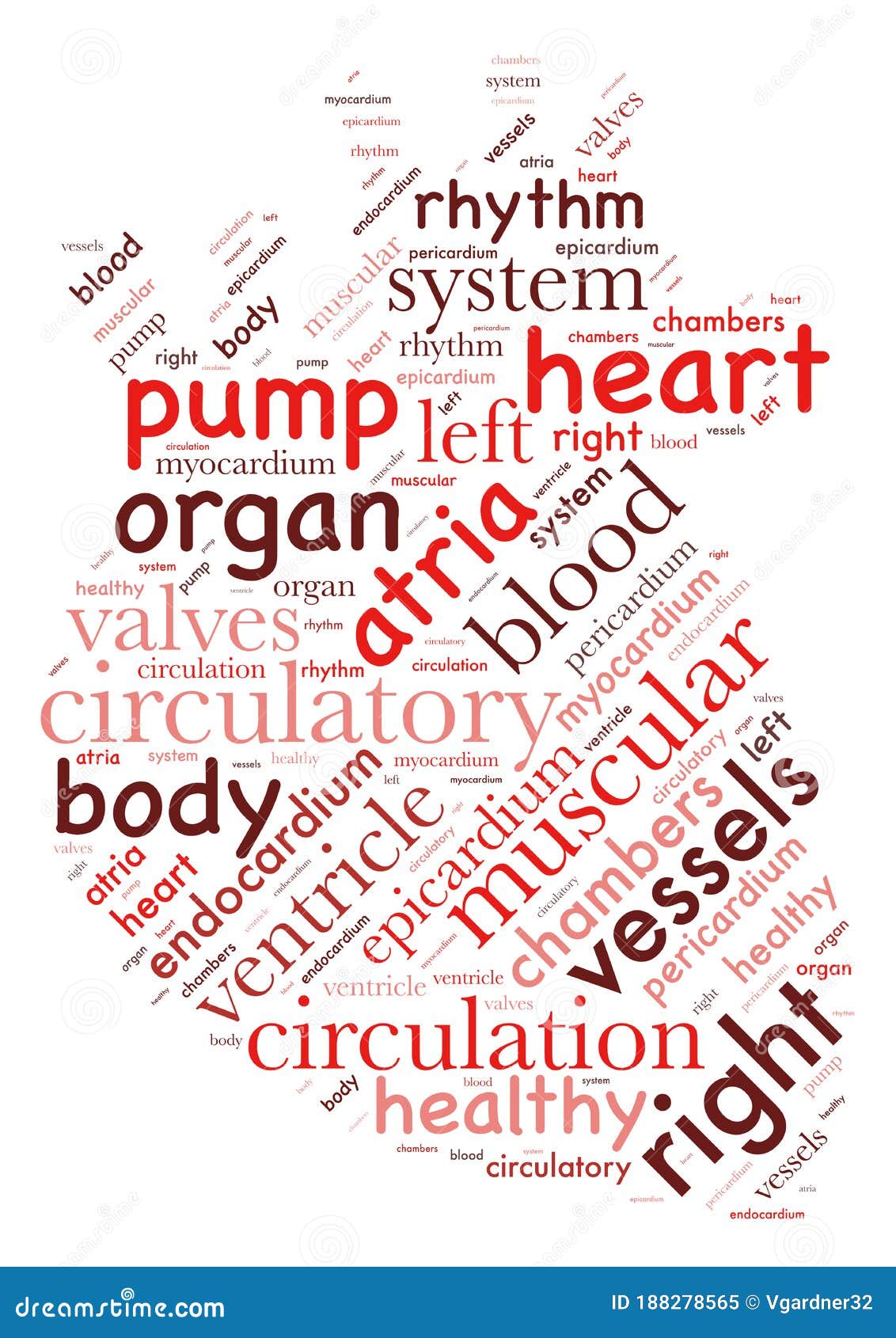 Illustration of a Word Cloud Representing Features of the Heart Stock ...