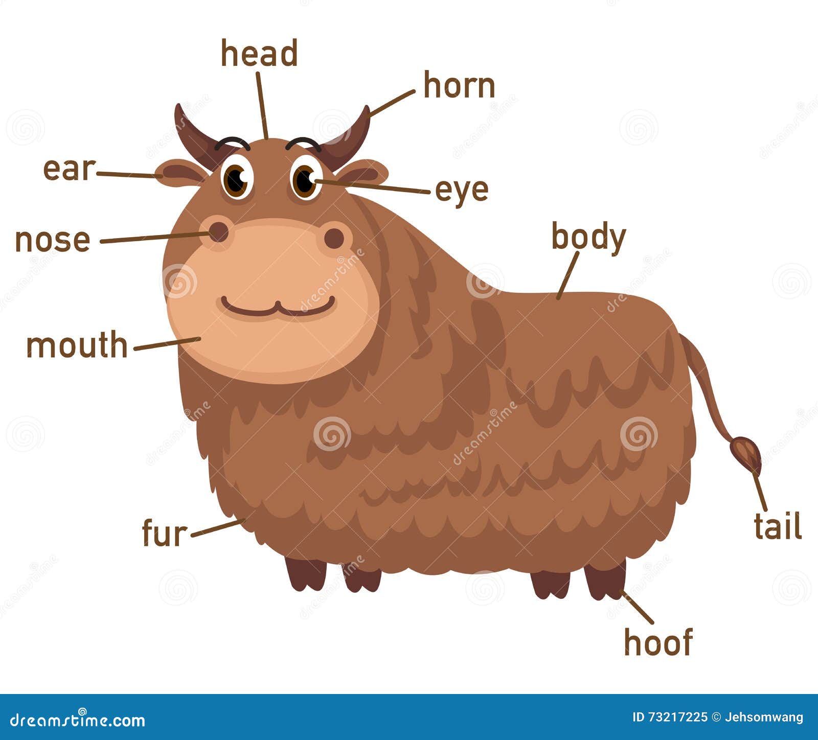 Illustration of Yak Vocabulary Part of Body Stock Vector - Illustration ...