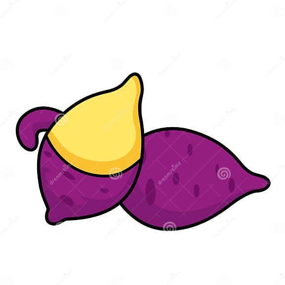 Illustration of Yam Outline Stock Vector - Illustration of philippine ...