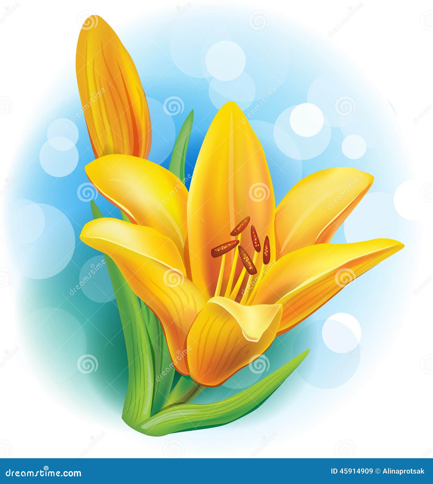 Illustration of Yellow Lily Stock Vector - Illustration of bloom ...